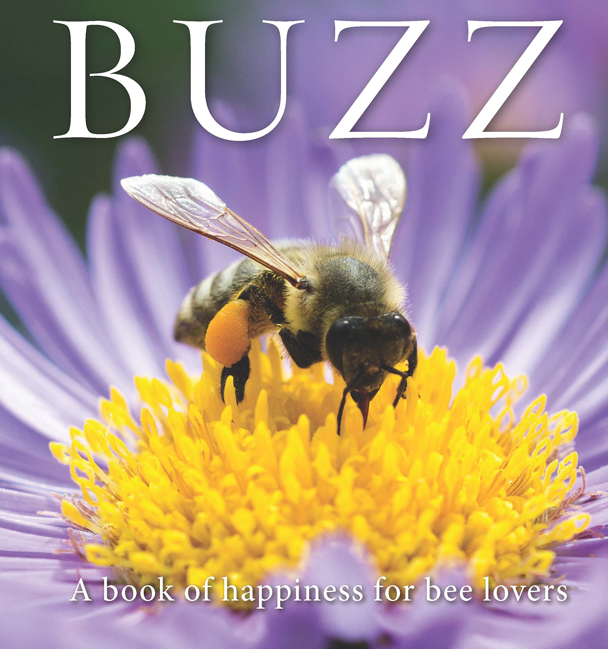 Buzz: A book of happiness for bee lovers by Adam Langstroth | Goodreads