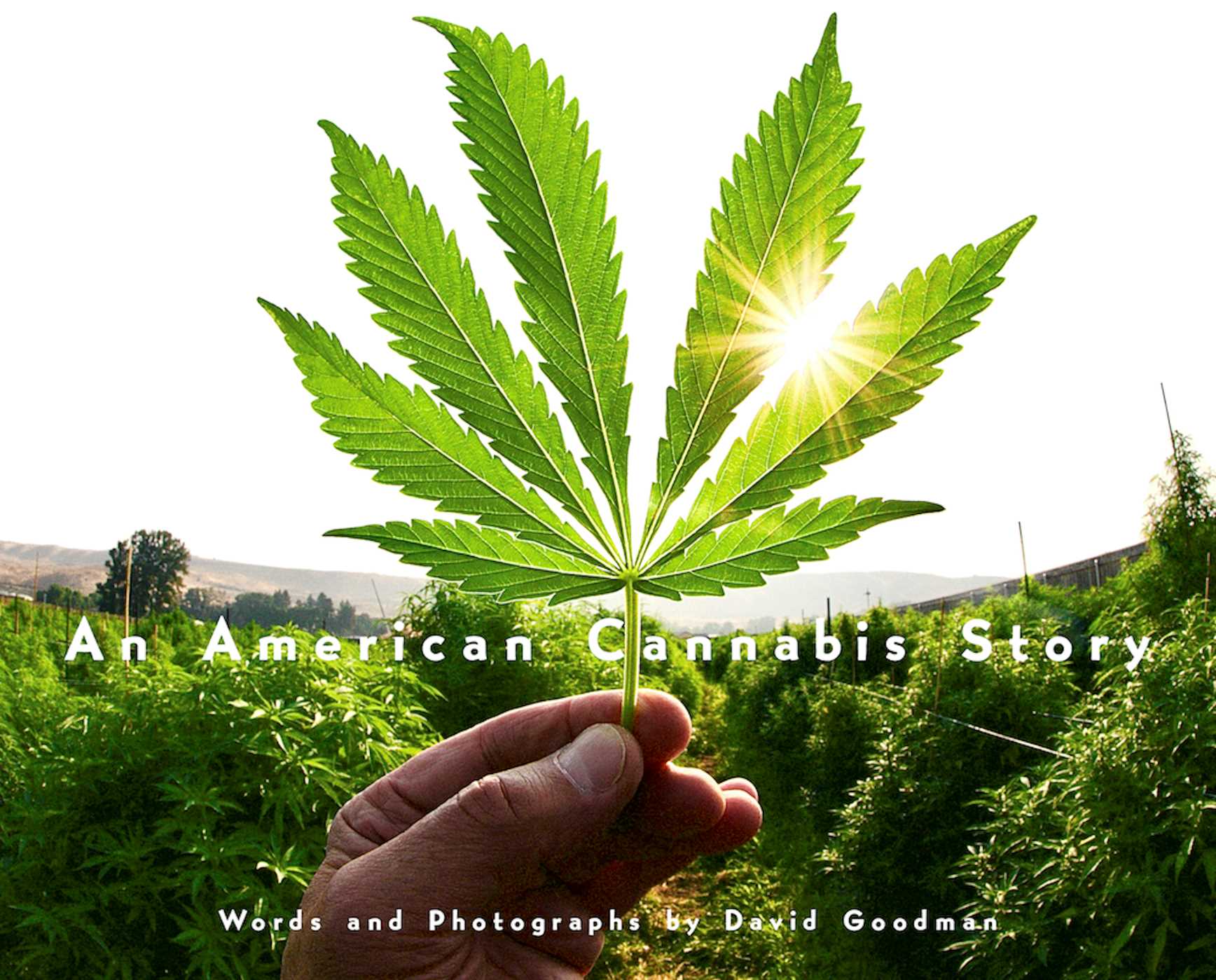 An American Cannabis Story by David Goodman | Goodreads