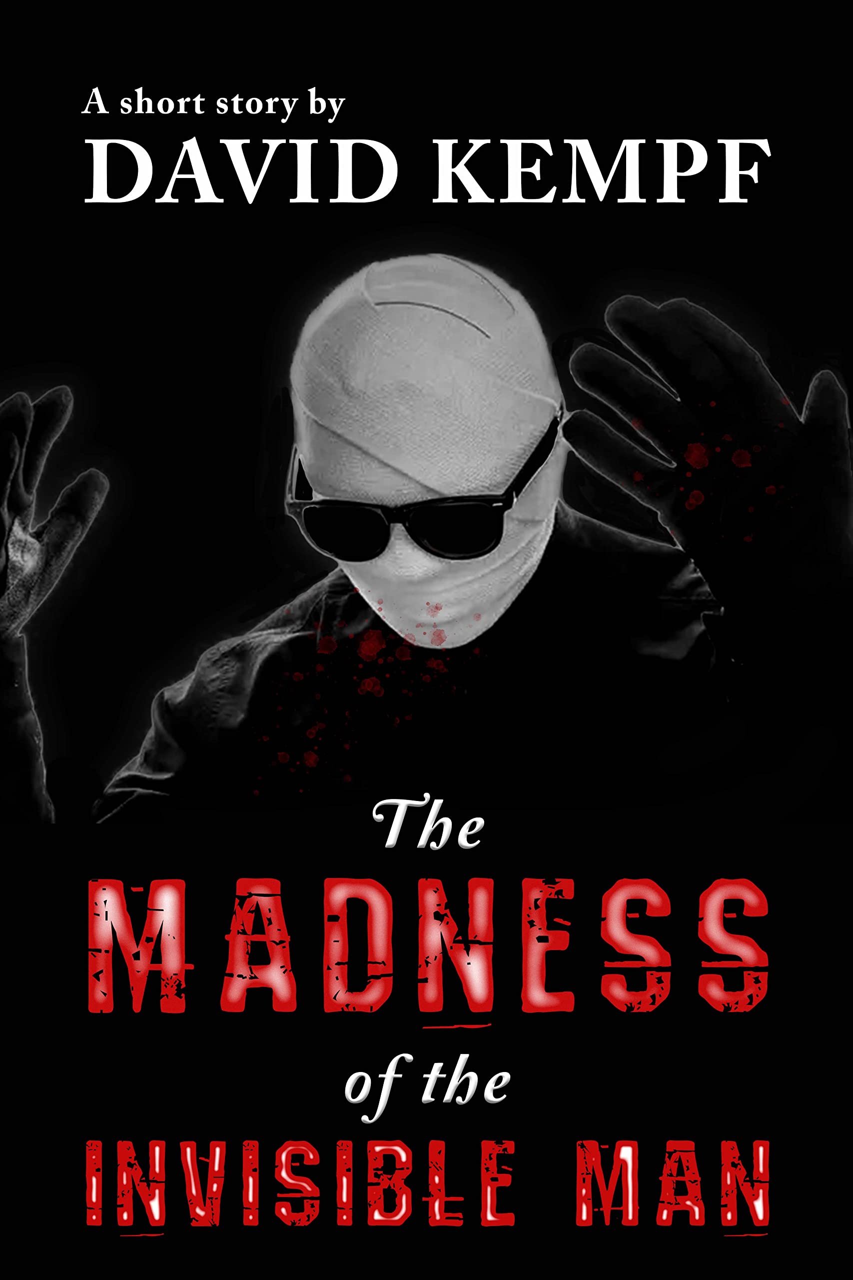 The Madness of the Invisible Man by David Kempf | Goodreads