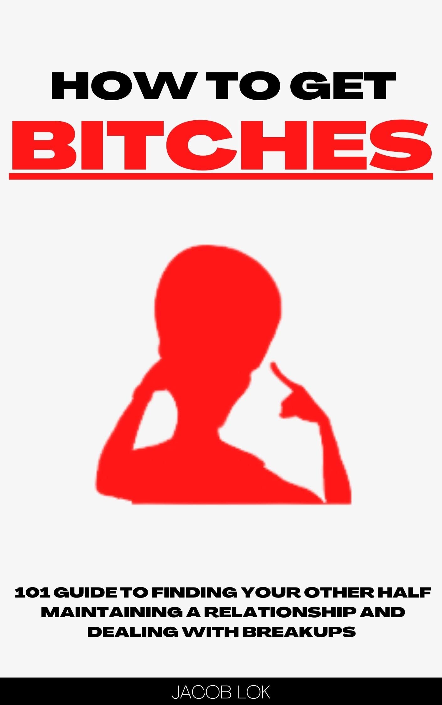 How to get bitches: 101 guide to finding your other half, maintaining relationships and dealing ...