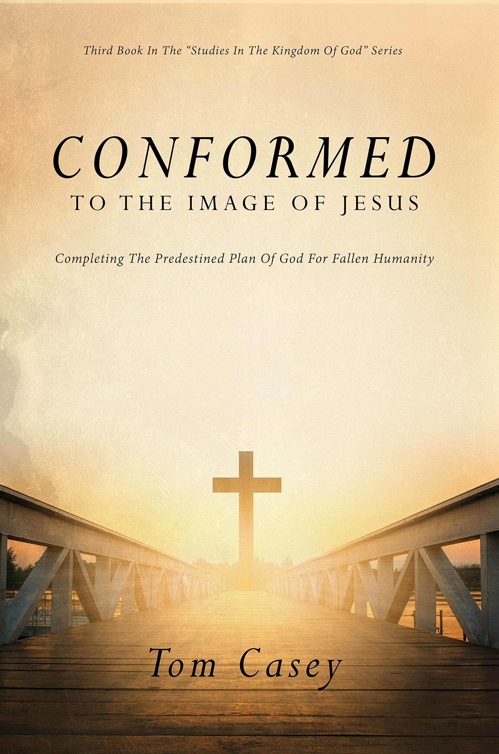 Conformed To The Image Of Jesus: Completing God's Predestined Plan For ...
