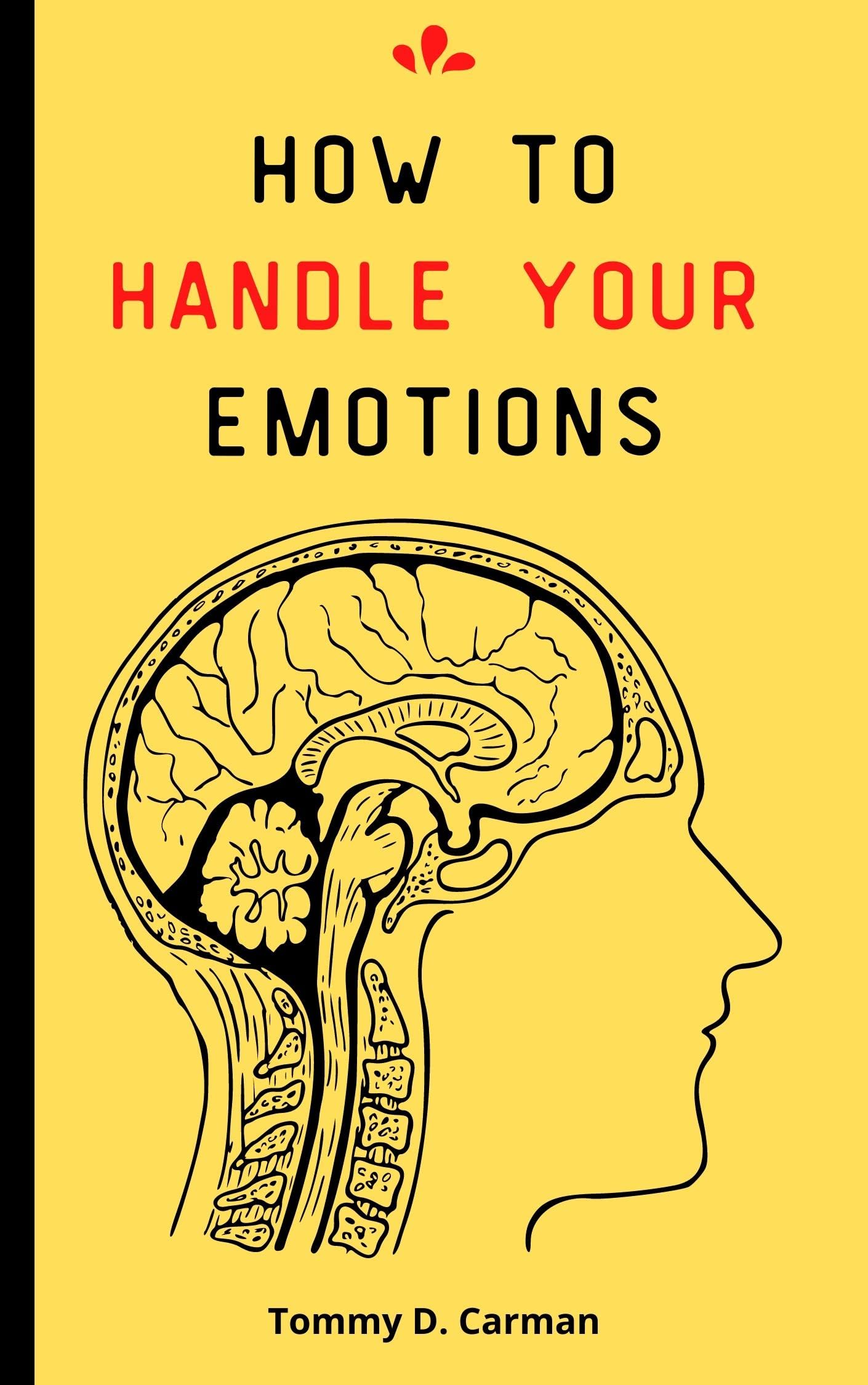 HOW TO HANDLE YOUR EMOTIONS: A handbook on regulating your emotions ...
