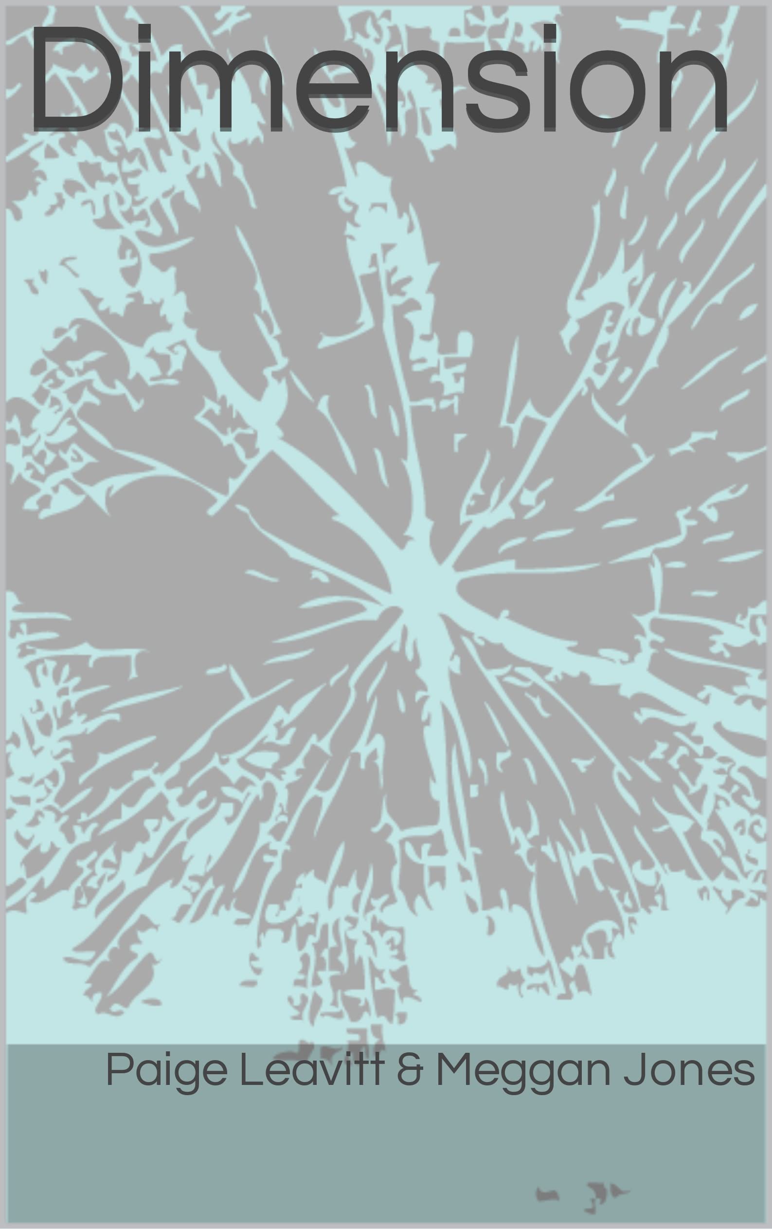 Dimension (Dimenion Book 1) by Paige Leavitt | Goodreads