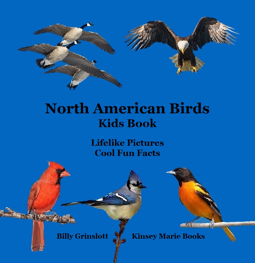 North American Birds Species Kids Book by Billy Grinslott | Goodreads