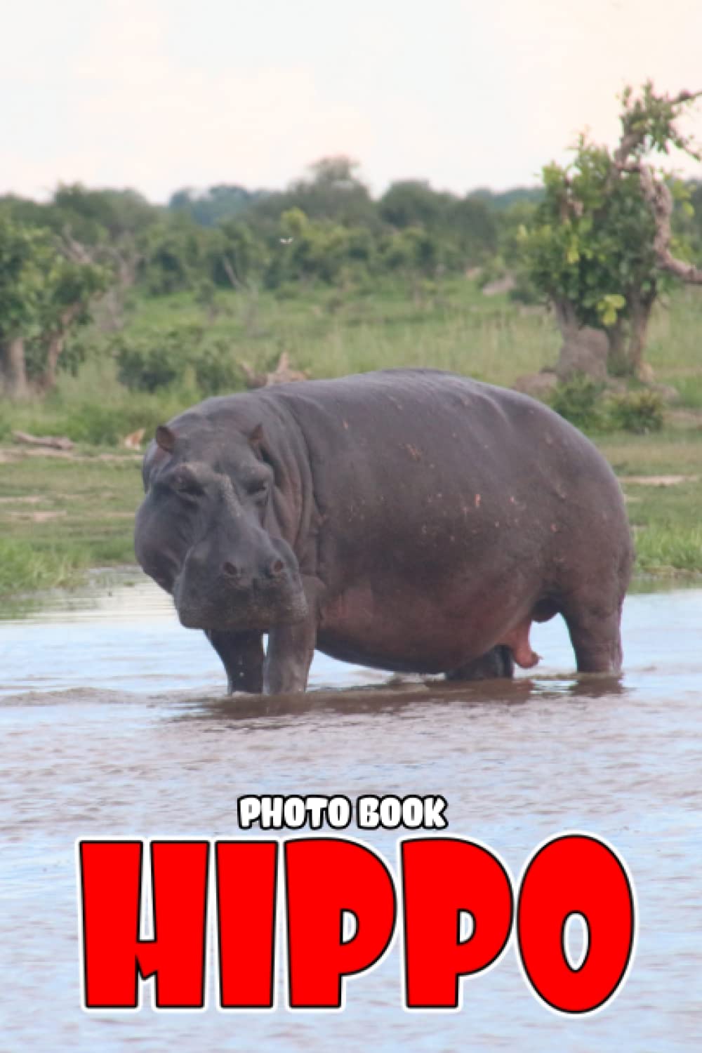 Hippo Photo Book: The Largest Land Mammal Colorful Photos For All Ages ...