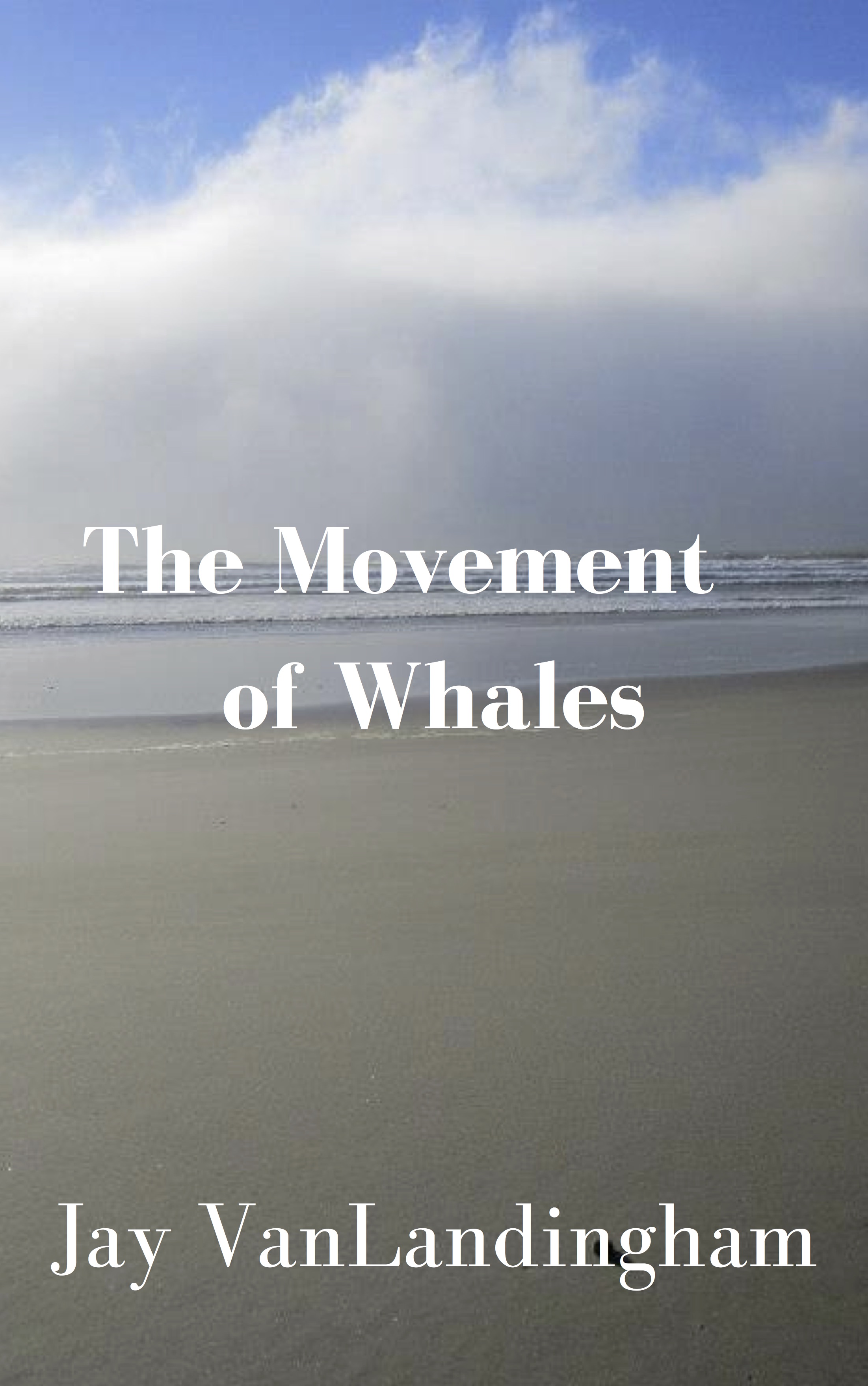 The Movement of Whales by Jay VanLandingham | Goodreads