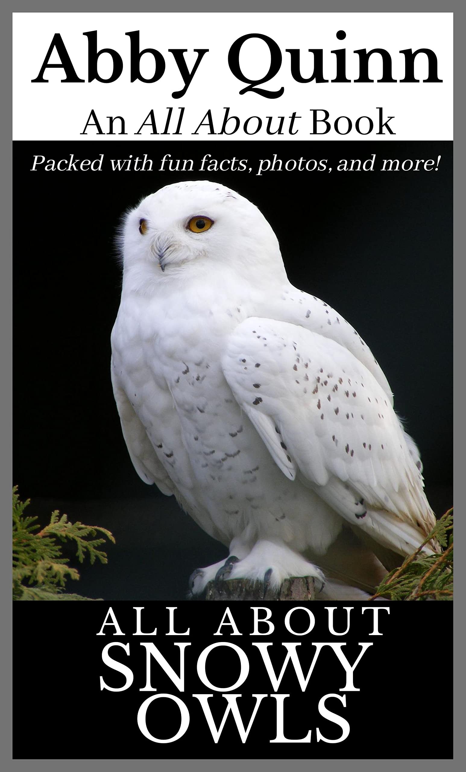 All About Snowy Owls: An Animal Facts Book For Kids by Abby Quinn ...