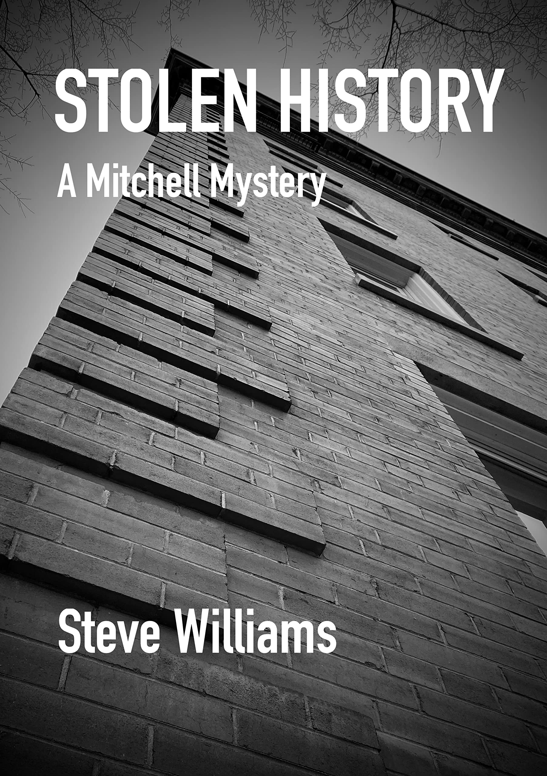 Stolen History: A Mitchell Mystery by Steve Williams | Goodreads