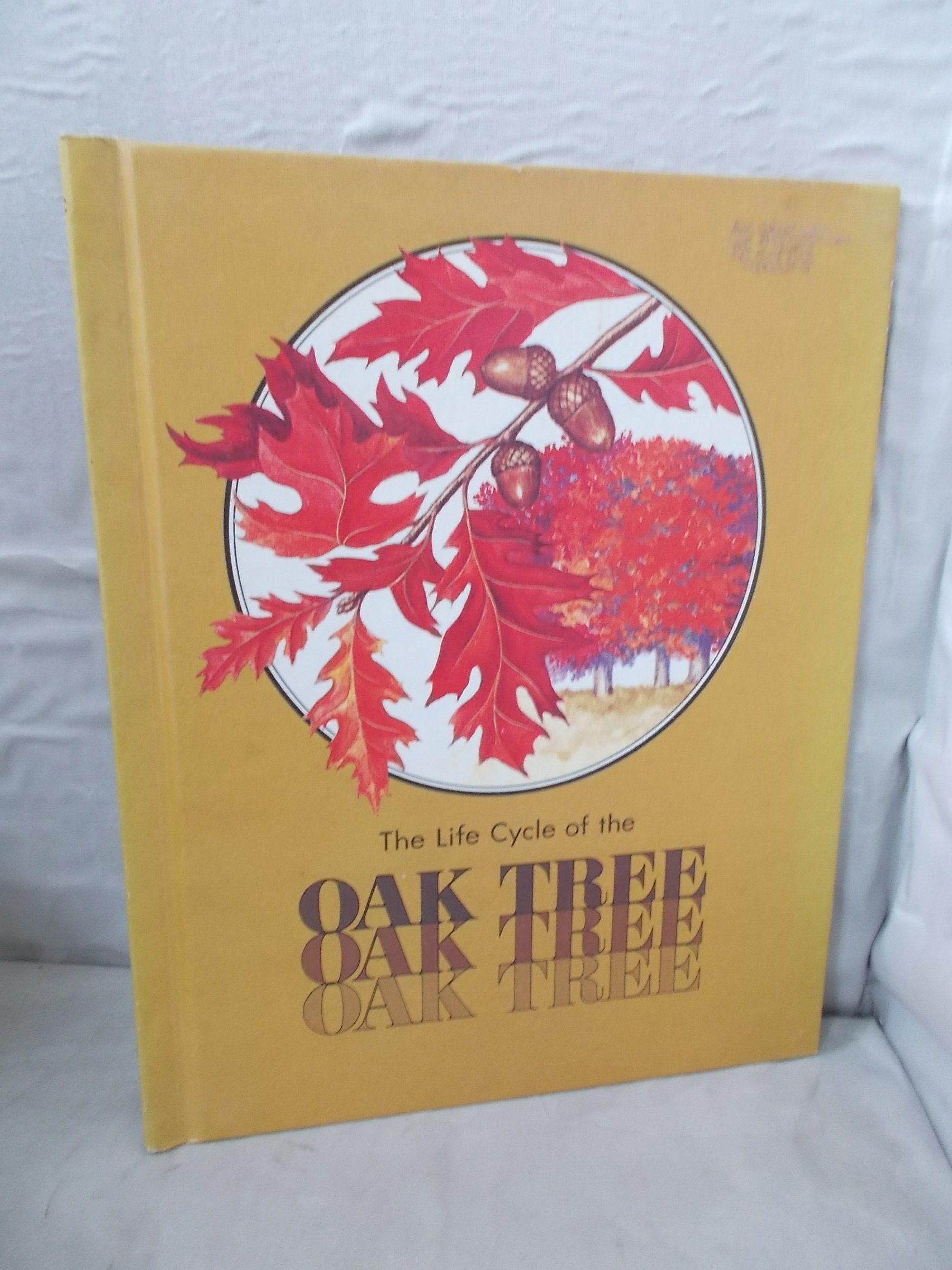 The Oak Tree by Paula Z. Hogan | Goodreads