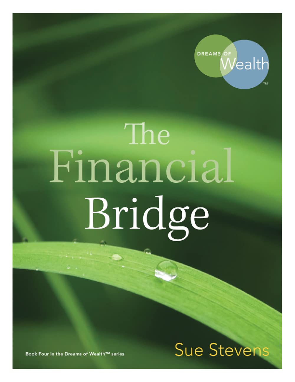 The Financial Bridge: Leaving your legacy by Sue Stevens | Goodreads