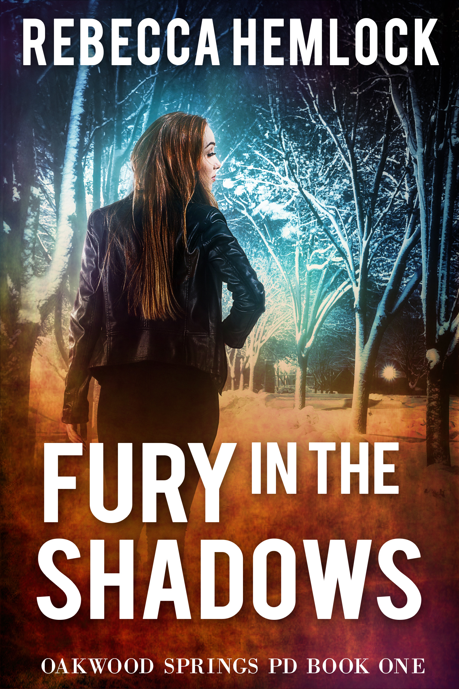 Fury in the Shadows by Rebecca Hemlock | Goodreads