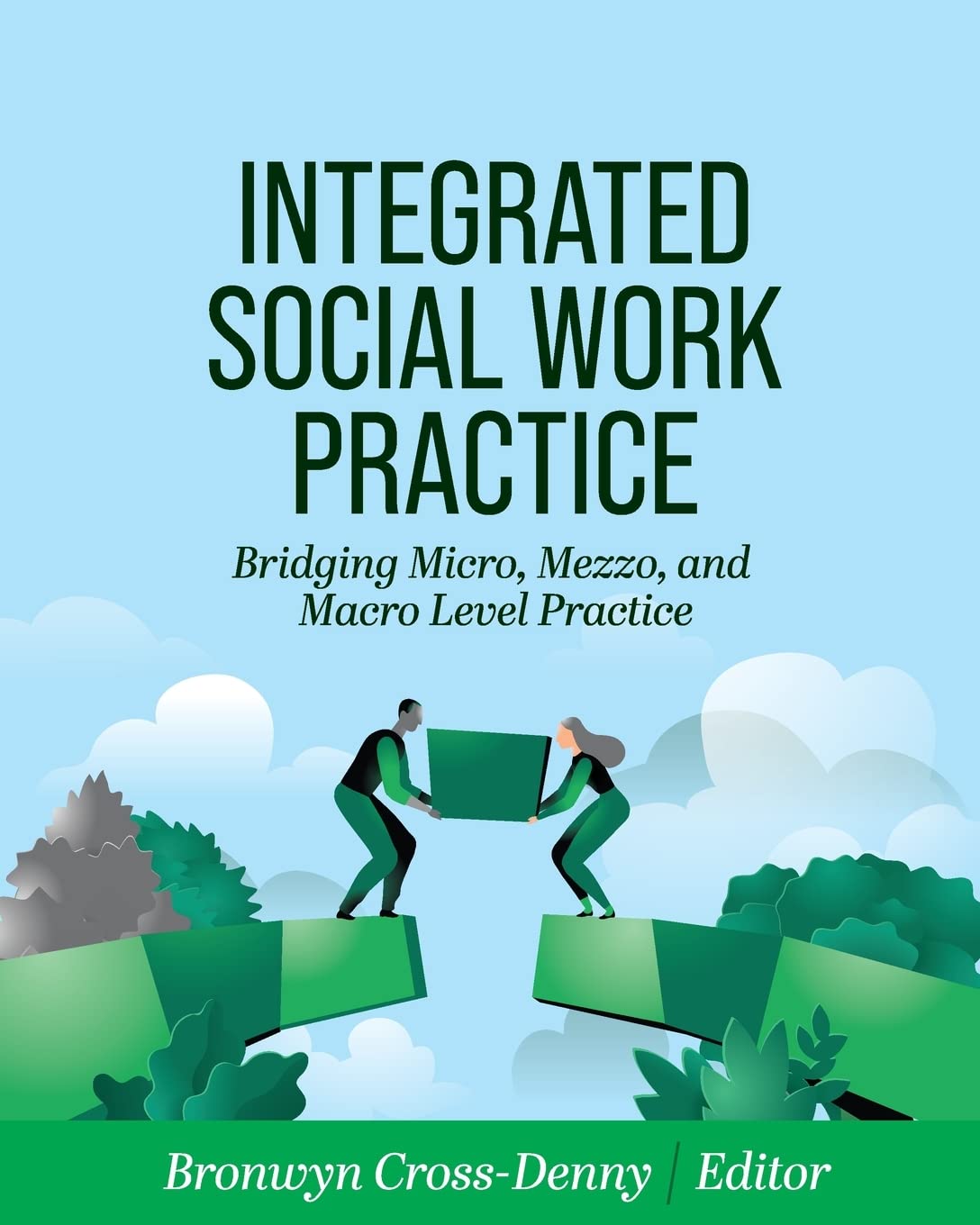 integrated-social-work-practice-bridging-micro-mezzo-and-macro-level