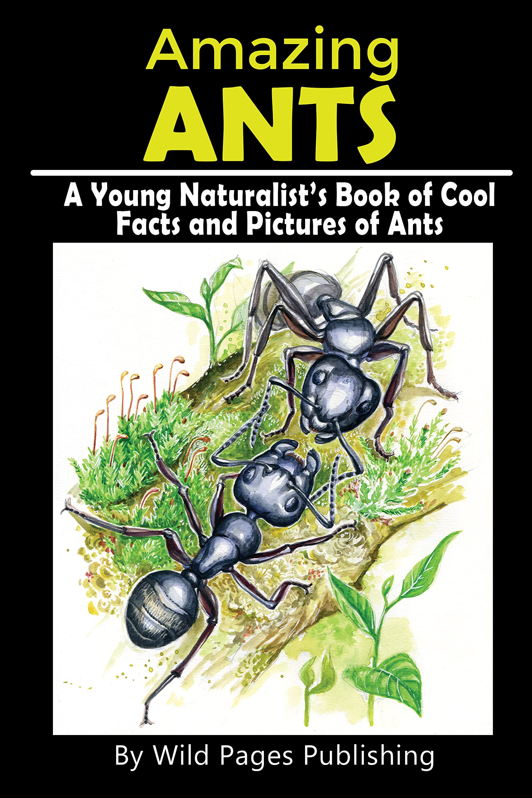 Amazing Ants. A Kid's Book of Cool Facts and Pictures of Ants by Wild ...