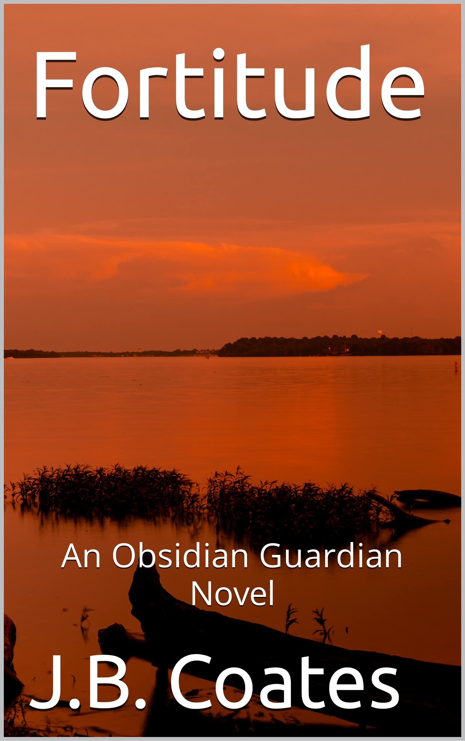 Fortitude: An Obsidian Guardian Novel by J.B. Coates | Goodreads