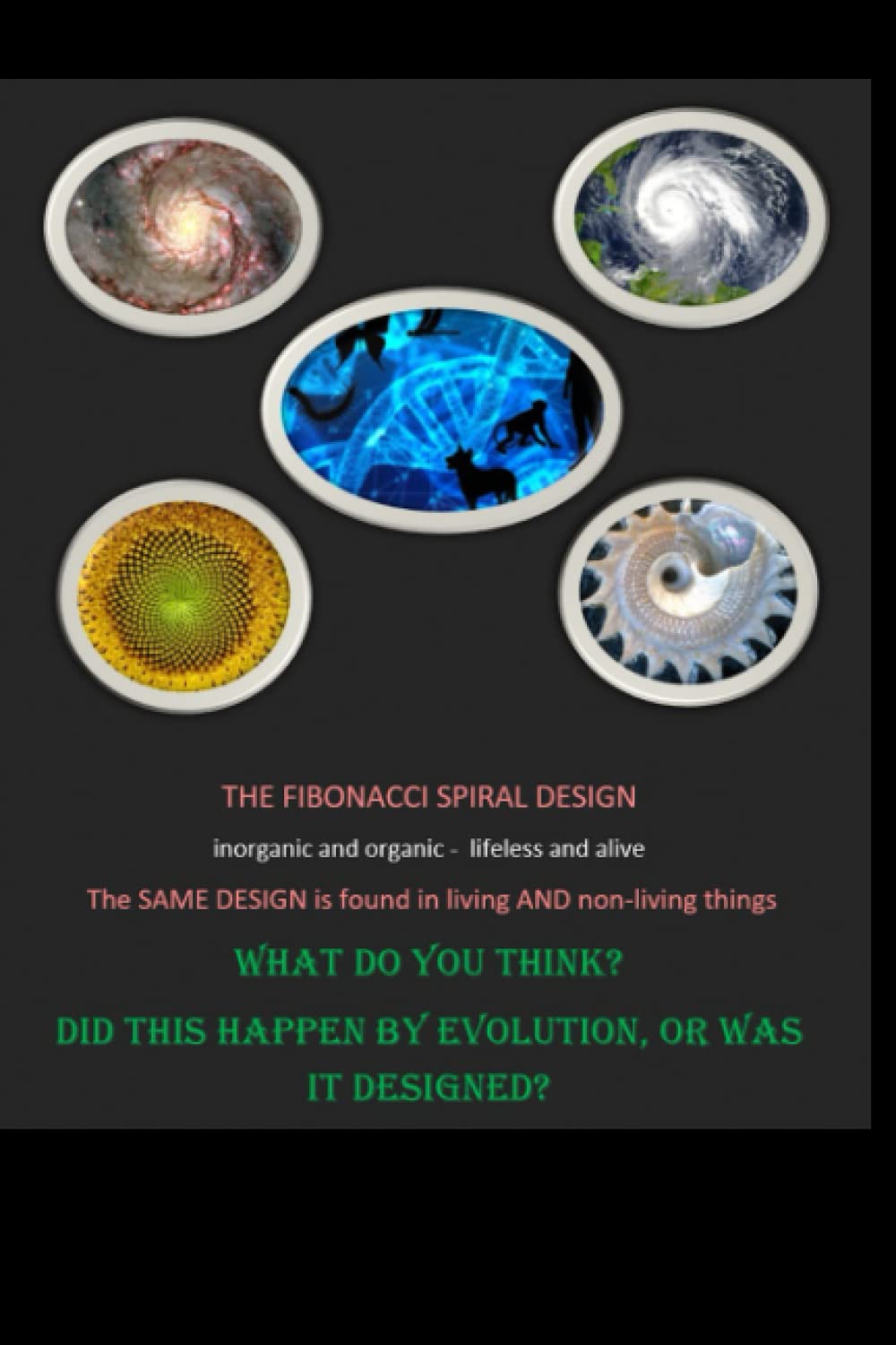 Fibonacci Sequence Creation Notebook by Bruce Quimby | Goodreads