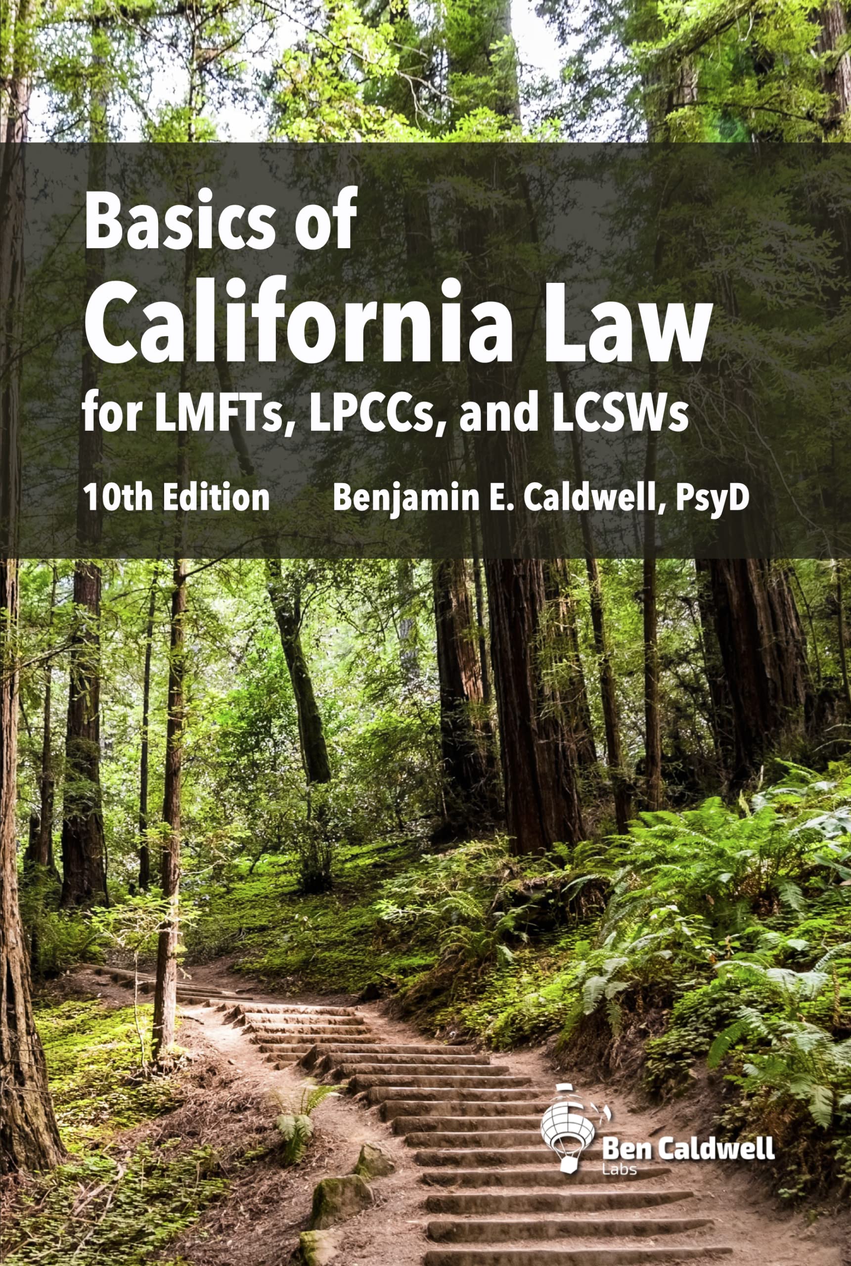 Basics of California Law for LMFTs, LPCCs, and LCSWs, 10th edition by ...