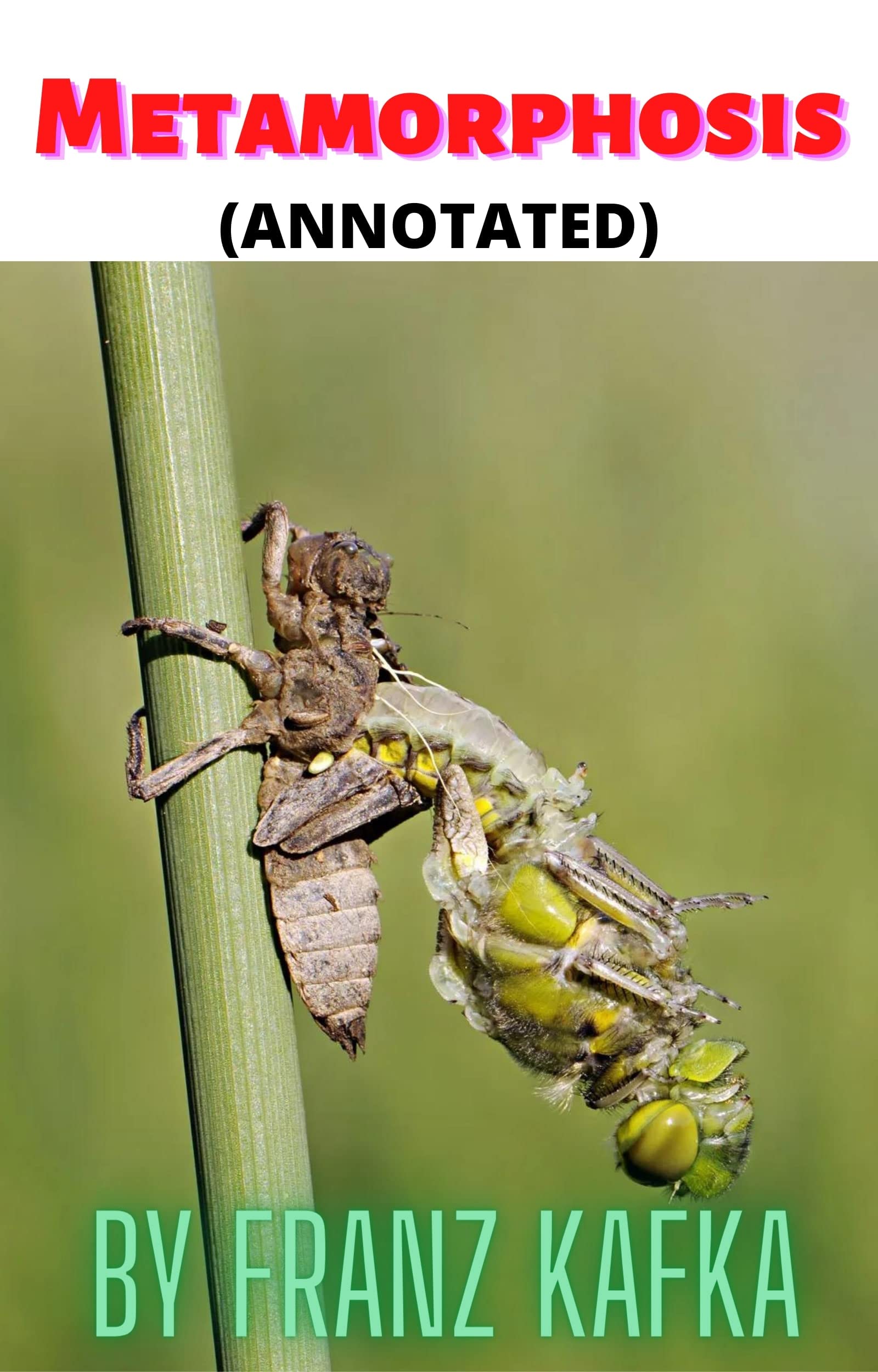 Metamorphosis: Metamorphosis is a novella written by Franz Kafka which ...