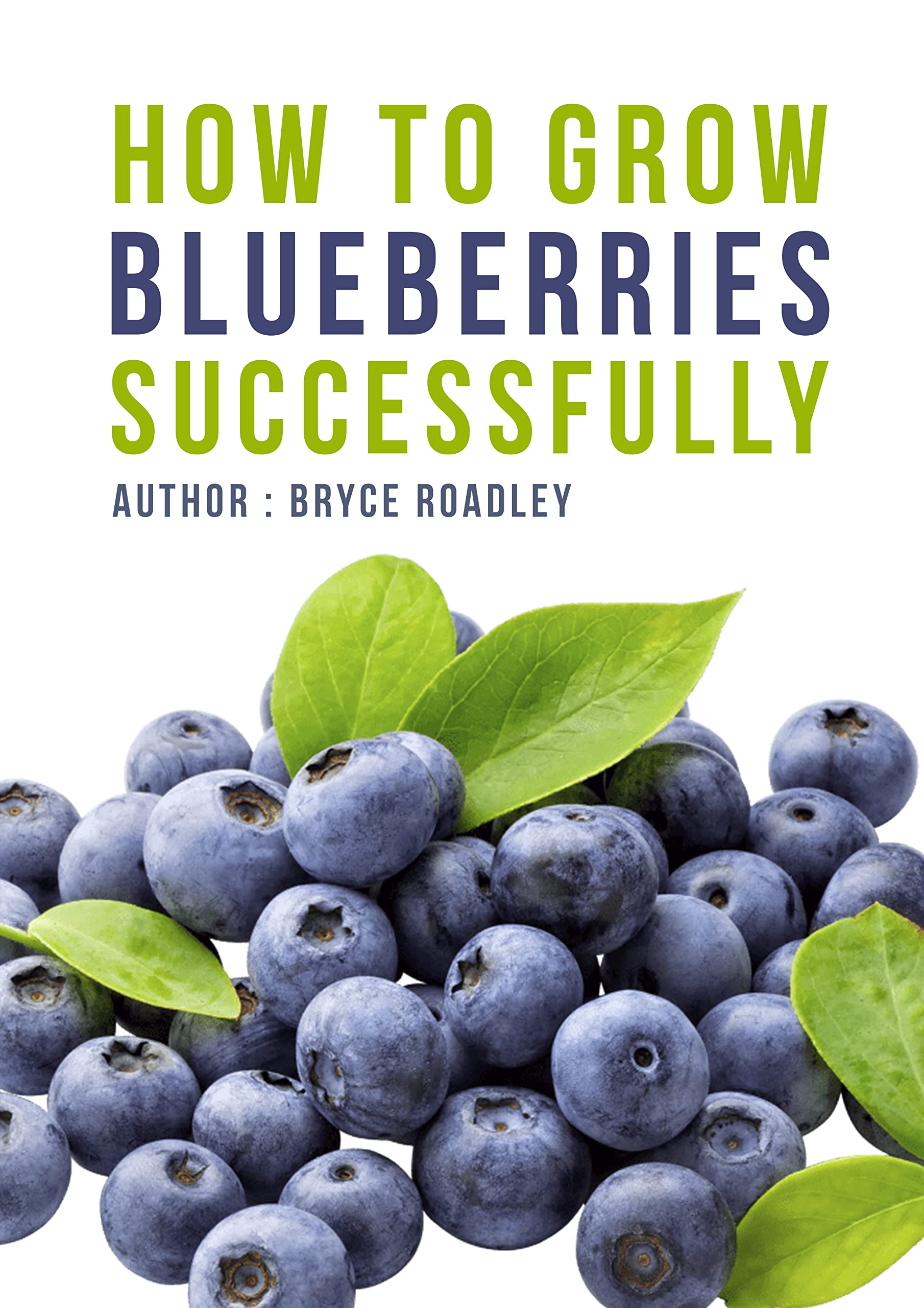 How To Grow Blueberries Successfully: Beginners Guide to Growing ...