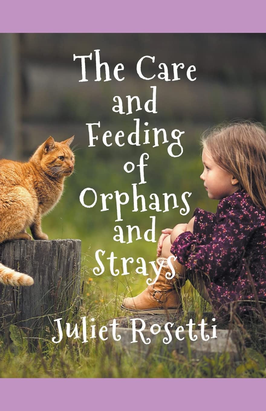 The Care & Feeding of Orphans and Strays by Juliet Rosetti | Goodreads