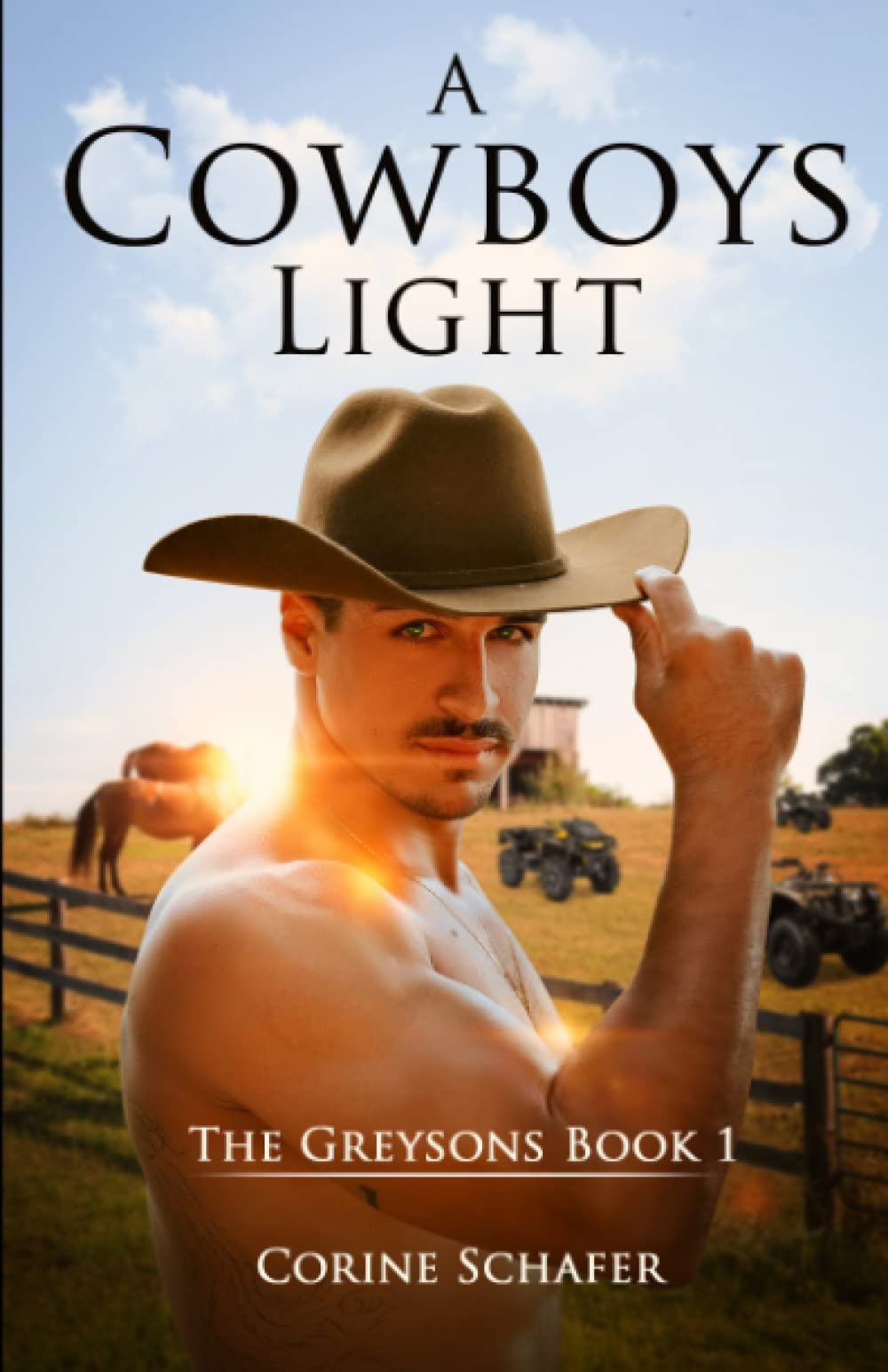 A Cowboys Light by Corine Schafer | Goodreads