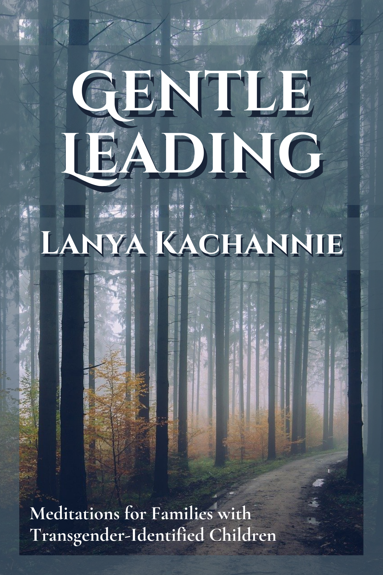 Gentle Leadings: Meditations for Families with Transgender-Identified ...