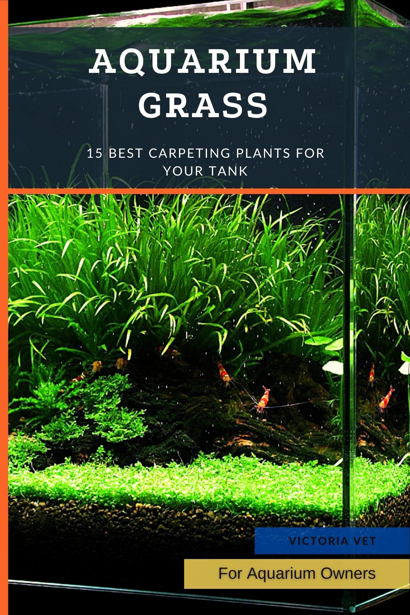 Aquarium Grass: 15 Best Carpeting Plants For Your Tank by Victoria Vet ...