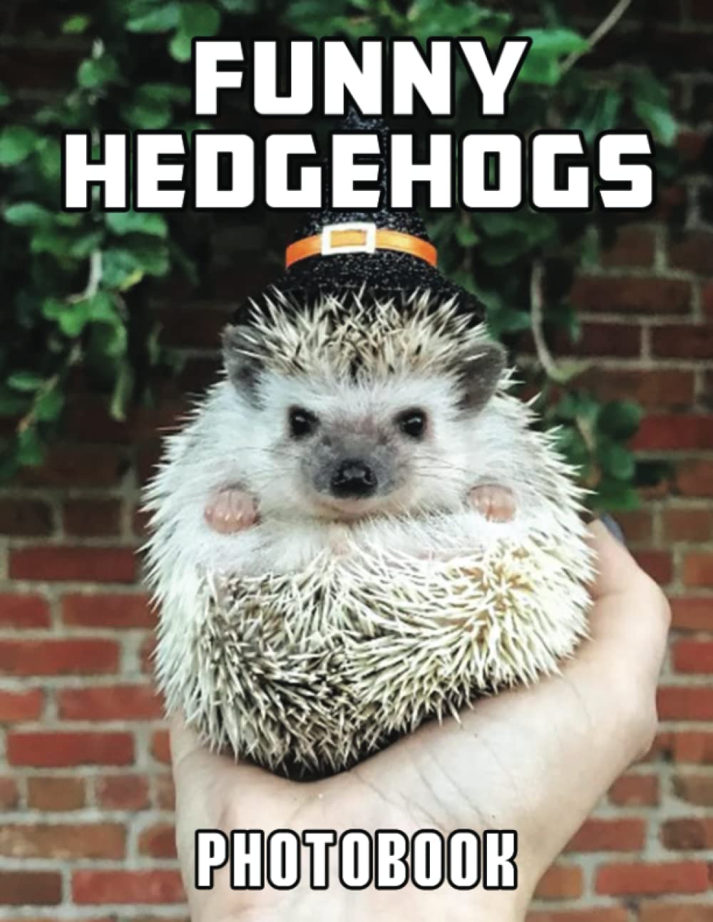 Funny Hedgehogs Photo Book: Compelling Photos Of Funny Hedgehogs ...