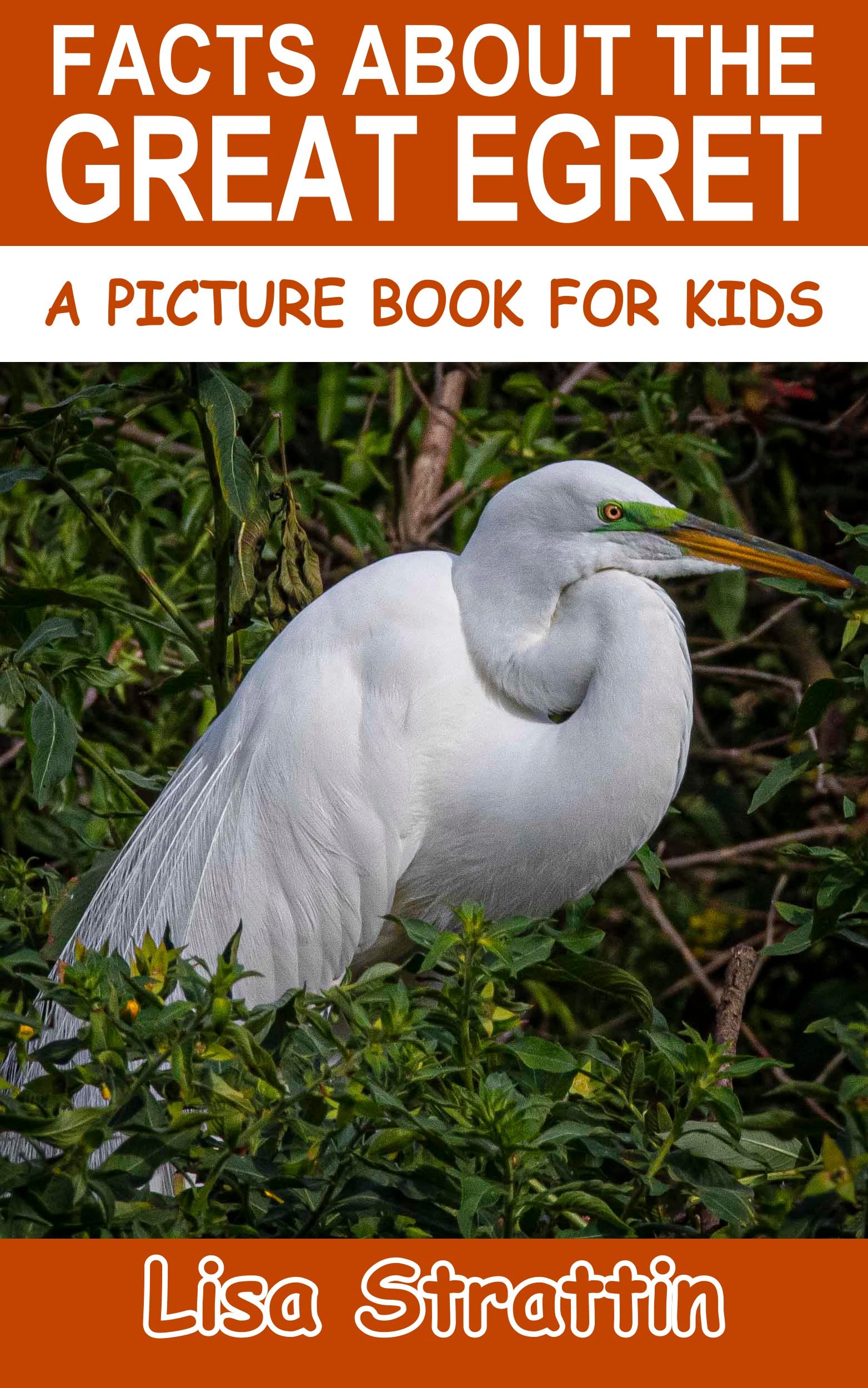 Facts About the Great Egret by Lisa Strattin | Goodreads