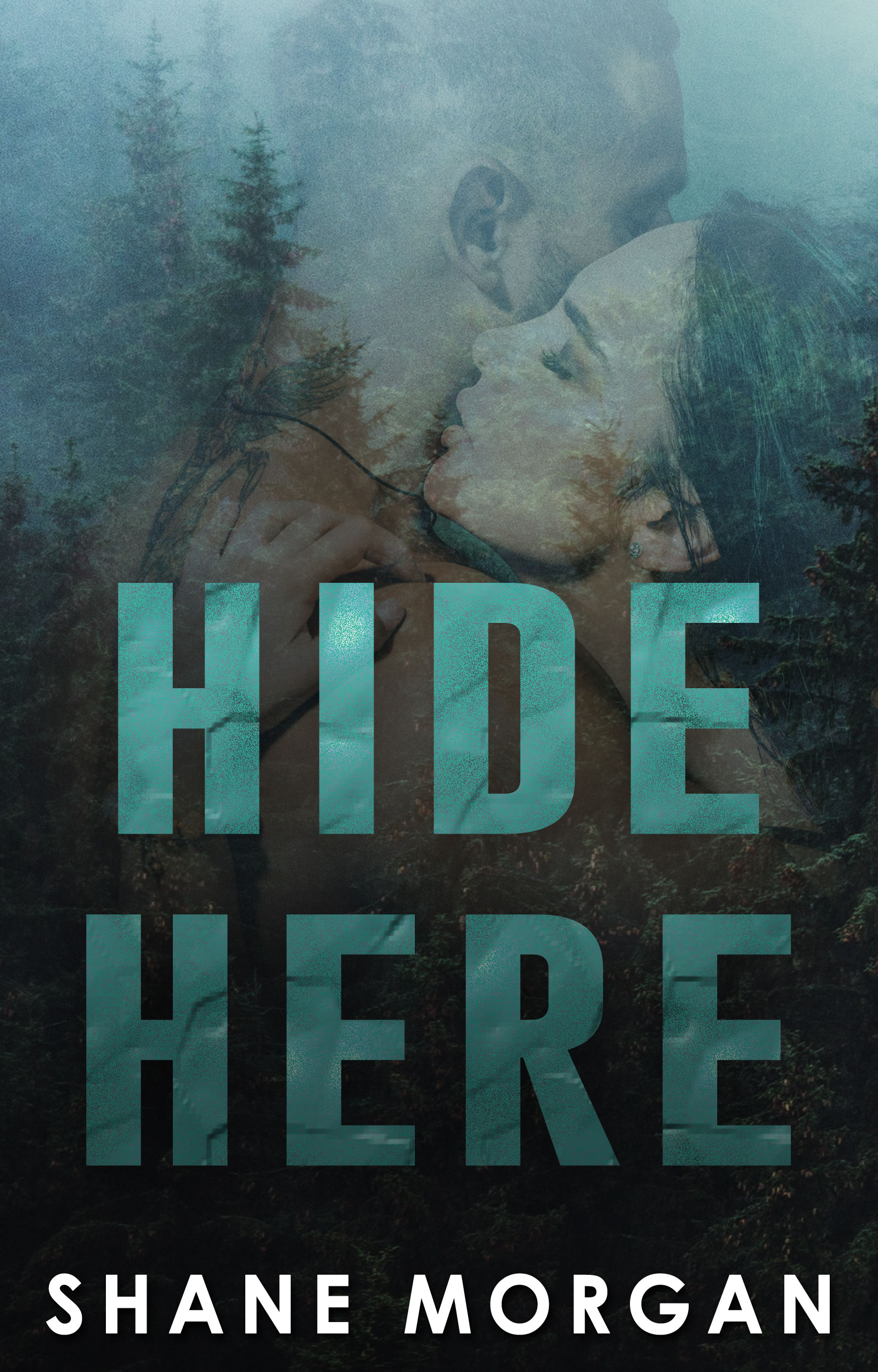 Hide Here by Shane Morgan | Goodreads