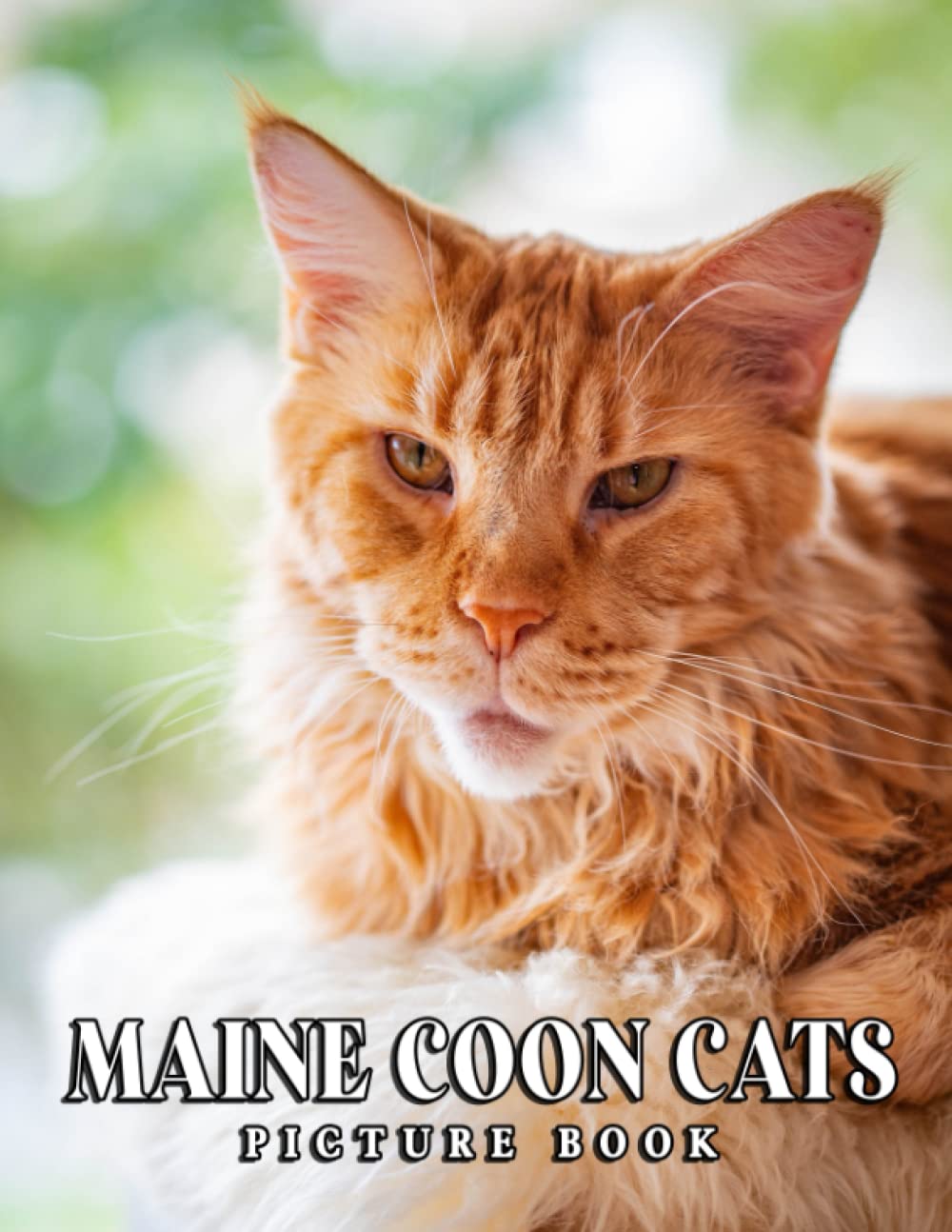 The Picture Book Of Maine Coon Cats: A Great Gift With Compelling And ...