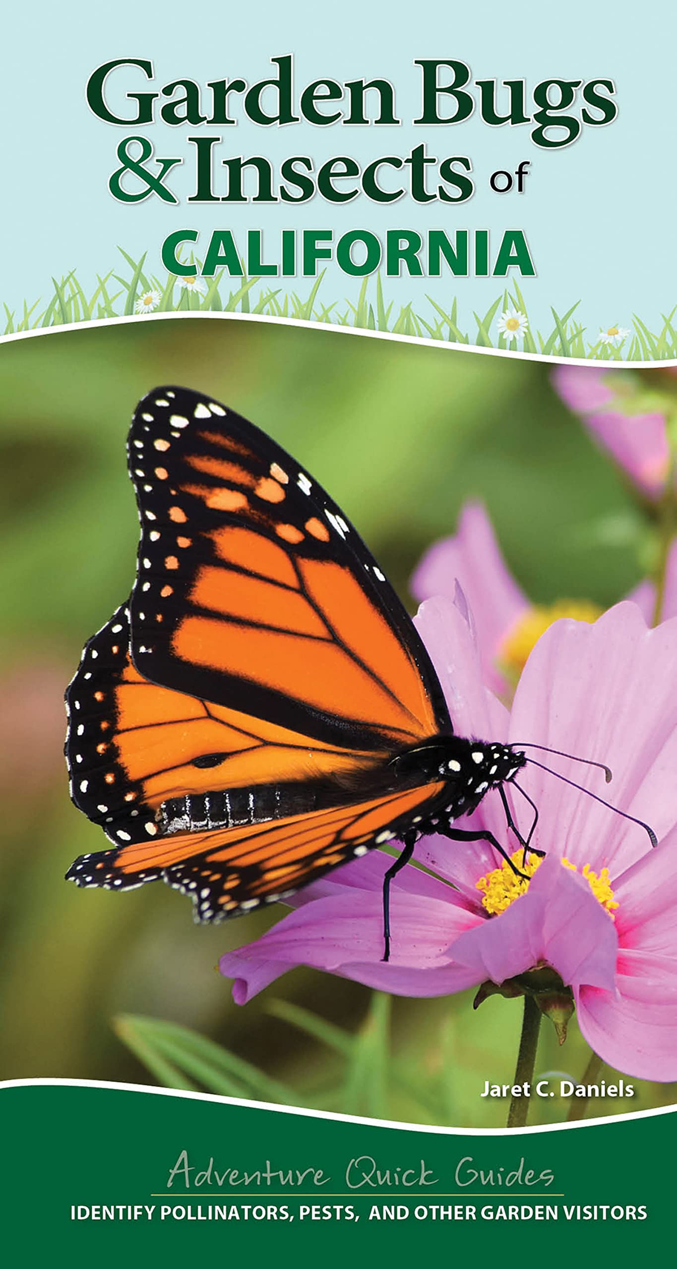 Garden Bugs & Insects of California: Identify Pollinators, Pests, and ...