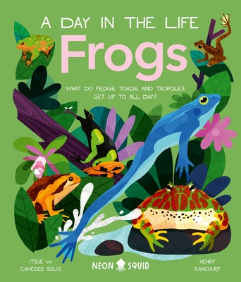 Frogs: What Do Frogs, Toads, and Tadpoles Get Up to All Day? by Itzue W ...