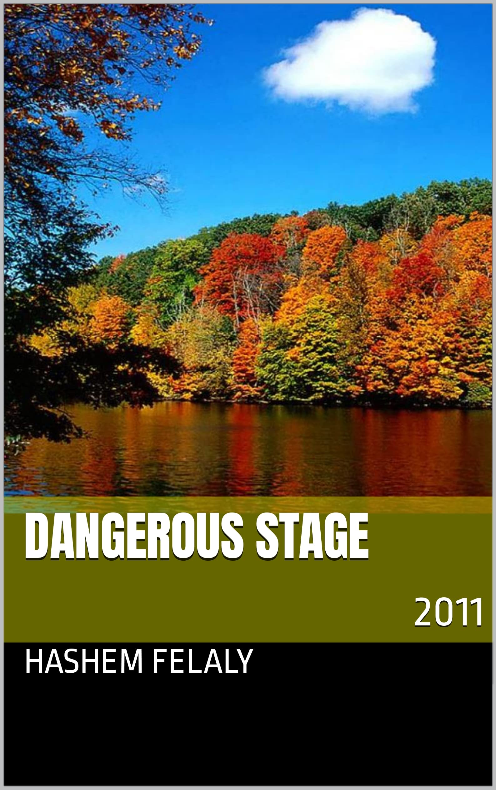 Dangerous stage: المرحلة الخطيرة (HFPay) by Hashem Felaly | Goodreads