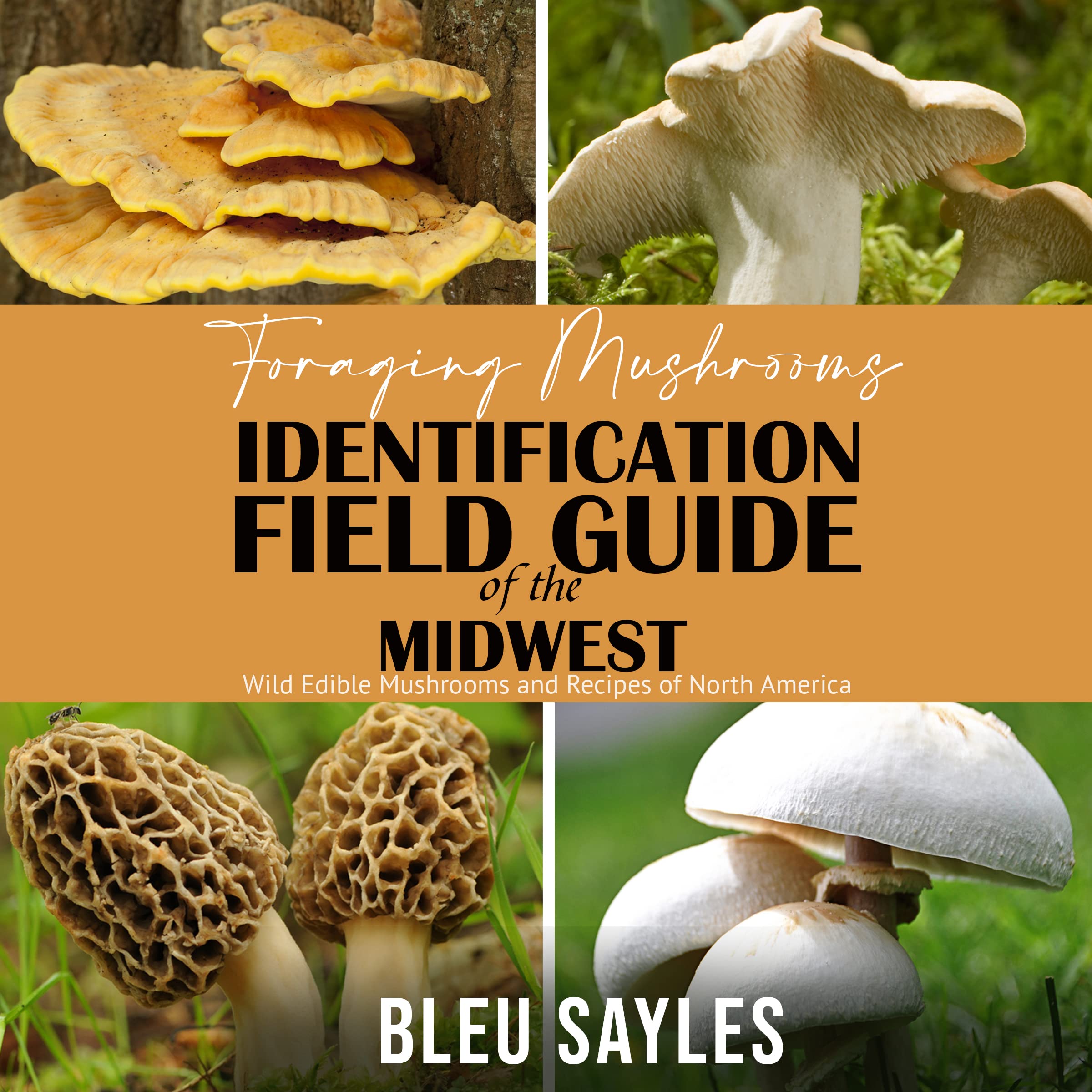 Foraging Mushrooms Identification Field Guide of the Midwest: Wild ...