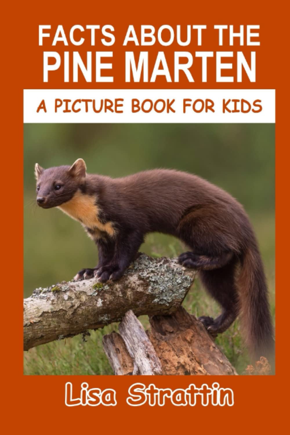 Facts About the Pine Marten by Lisa Strattin | Goodreads