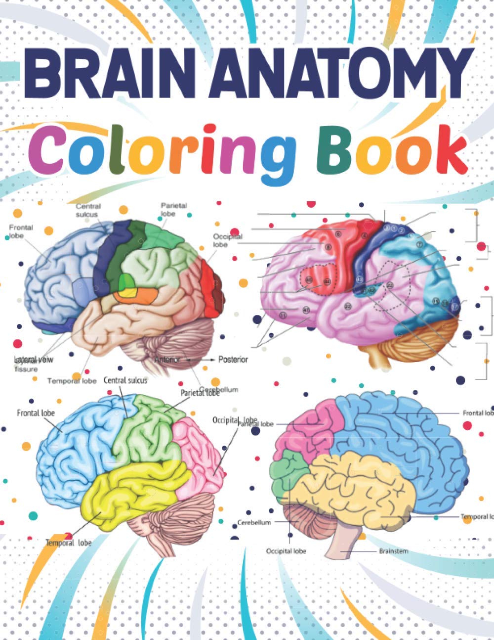Brain Anatomy Coloring Book: Human Brain Anatomy Coloring Book For Kids ...