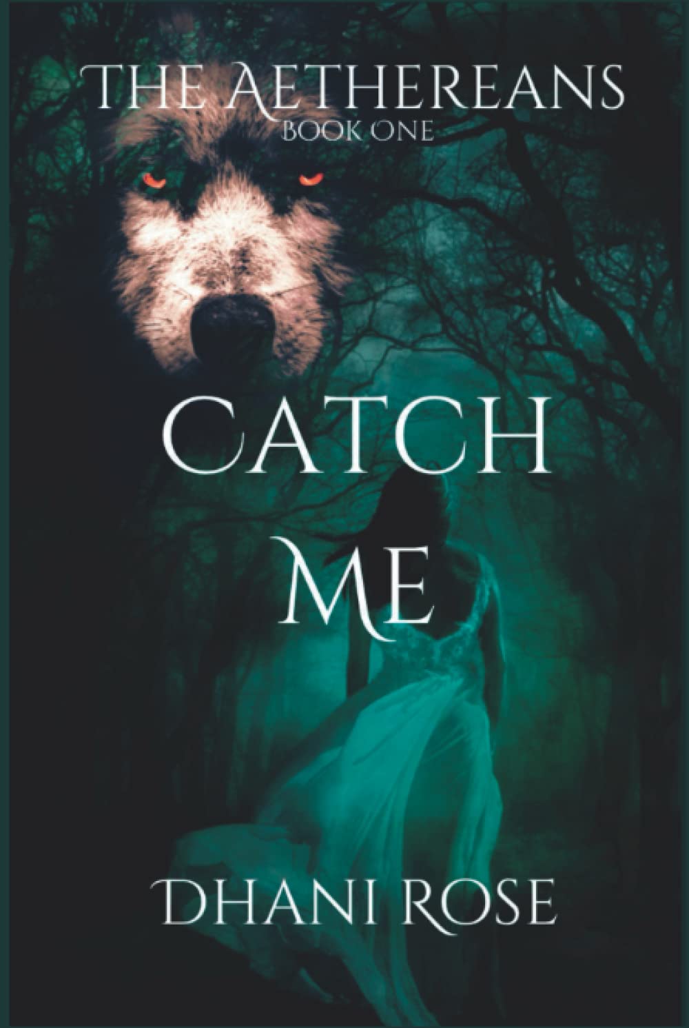 The Aethereans: Catch Me: Book One by Dhani Rose | Goodreads