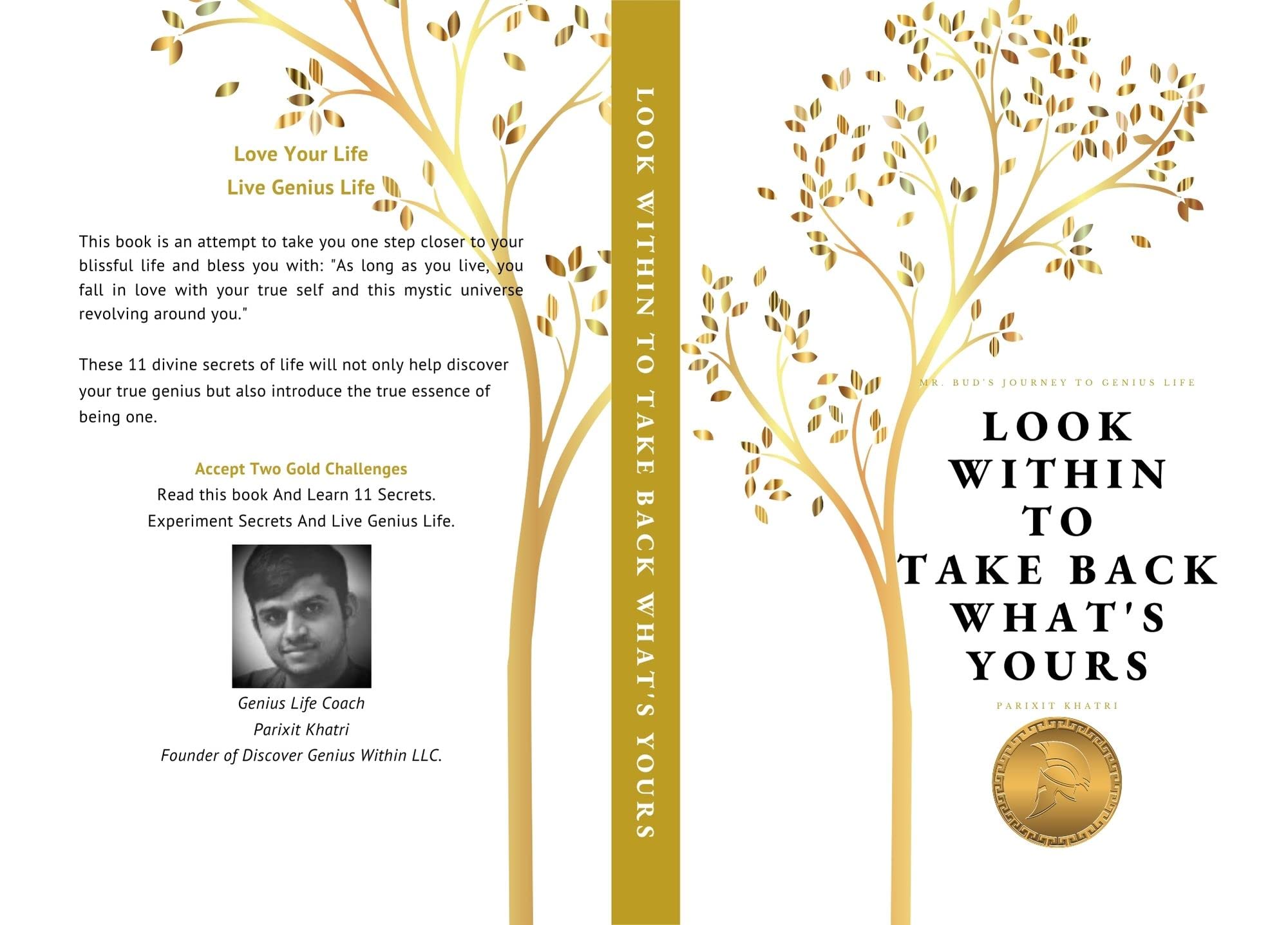 Look Within To Take Back What's Yours: Mr. Bud's Journey To Genius Life ...
