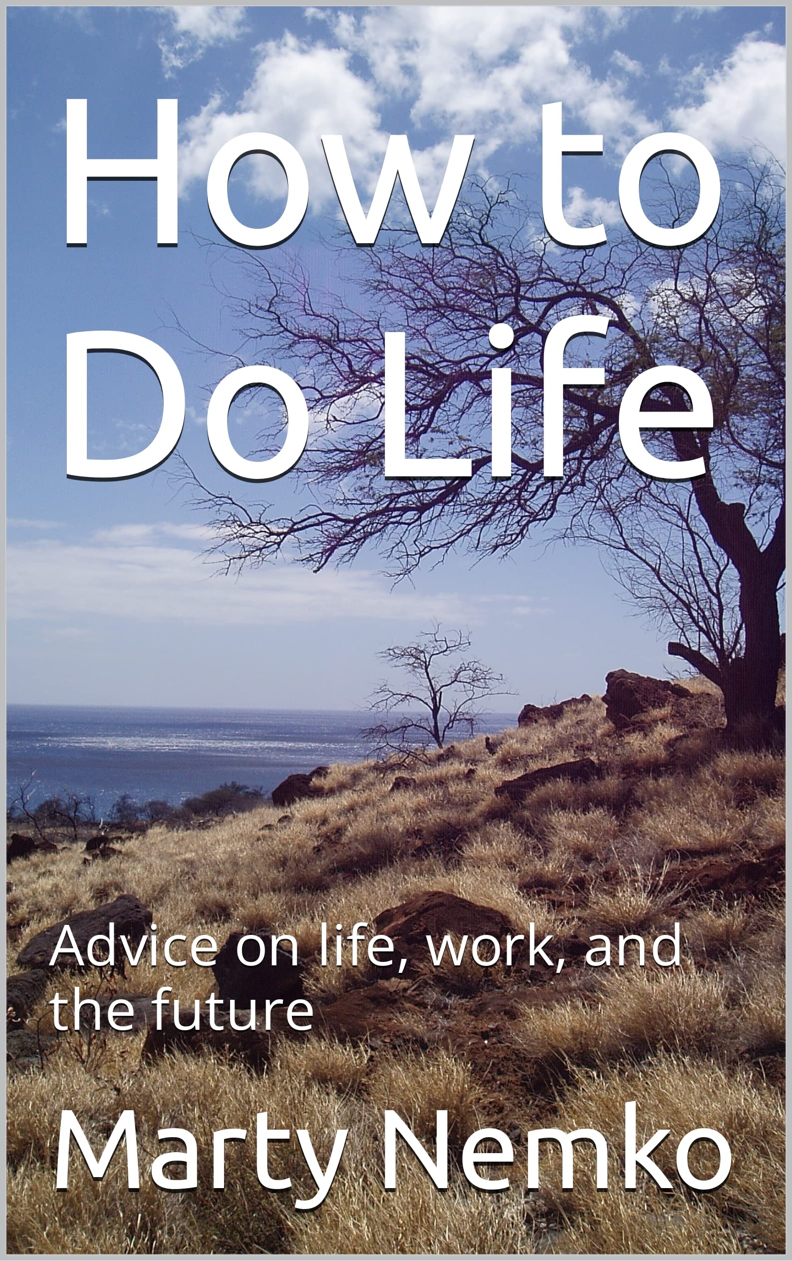 How to Do Life: Advice on life, work, and the future by Marty Nemko ...