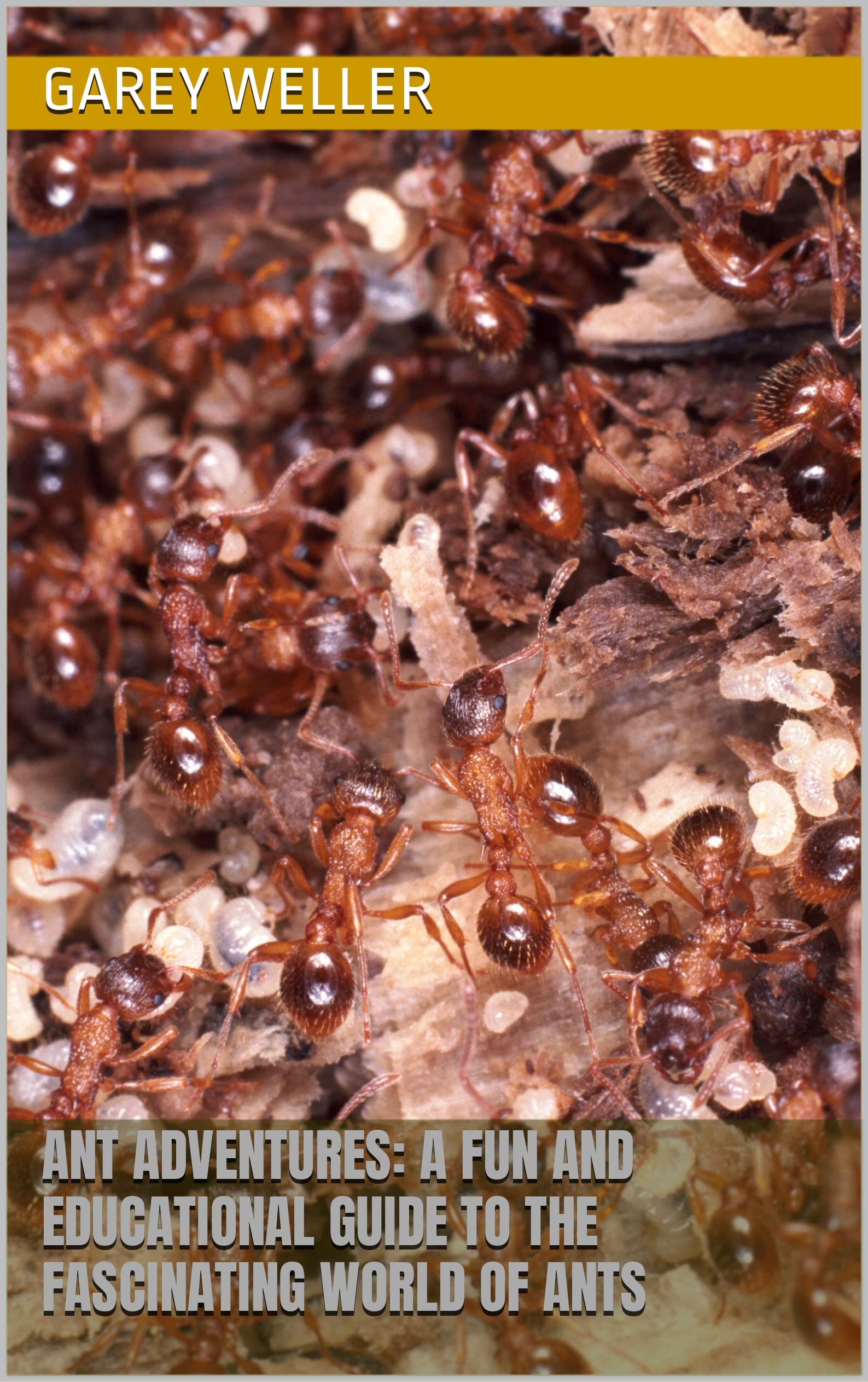 Ant Adventures: A Fun and Educational Guide to the Fascinating World of ...