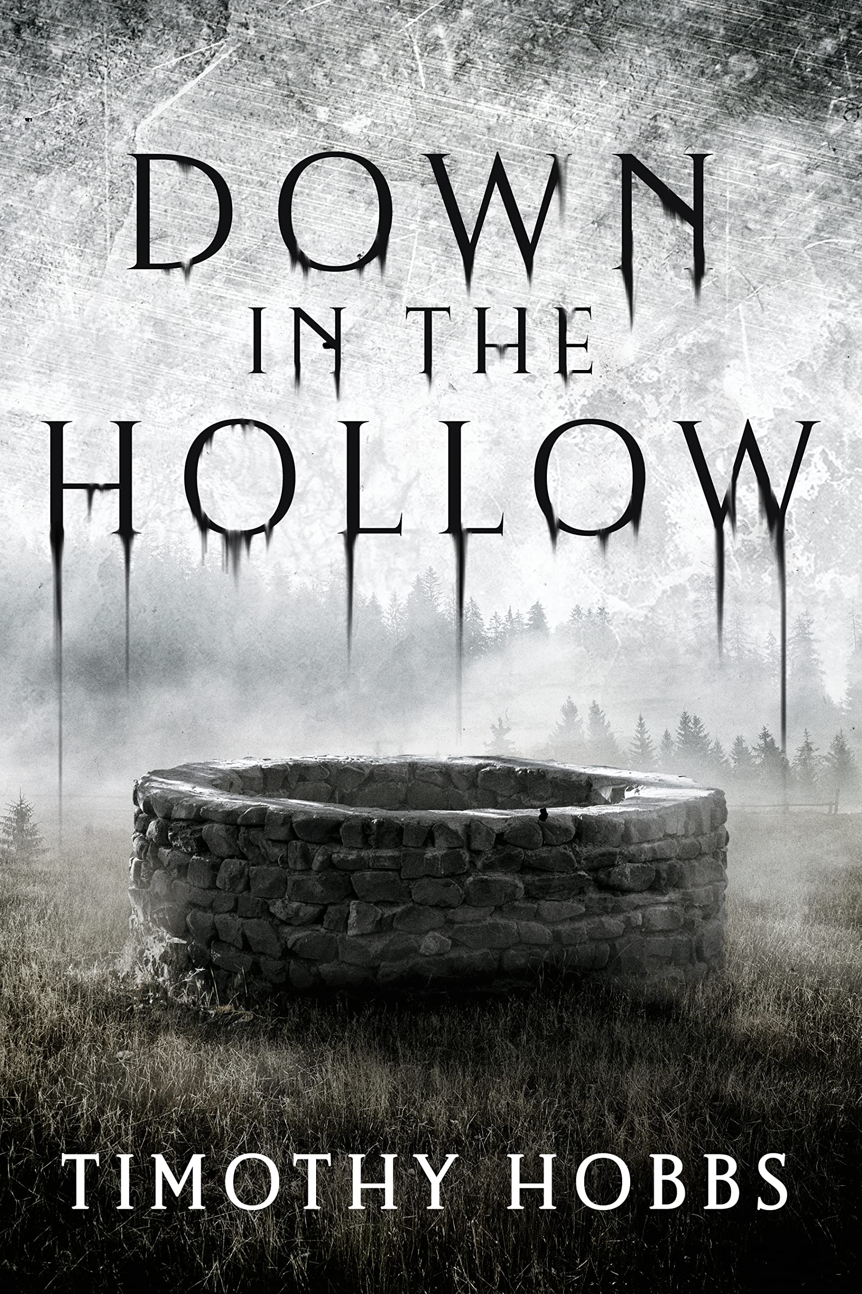 Down in the Hollow by Timothy Hobbs | Goodreads