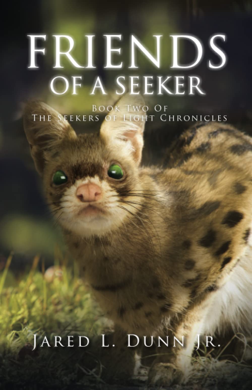 Friends of a Seeker: The Seekers of Light Chronicles by Jared Dunn ...