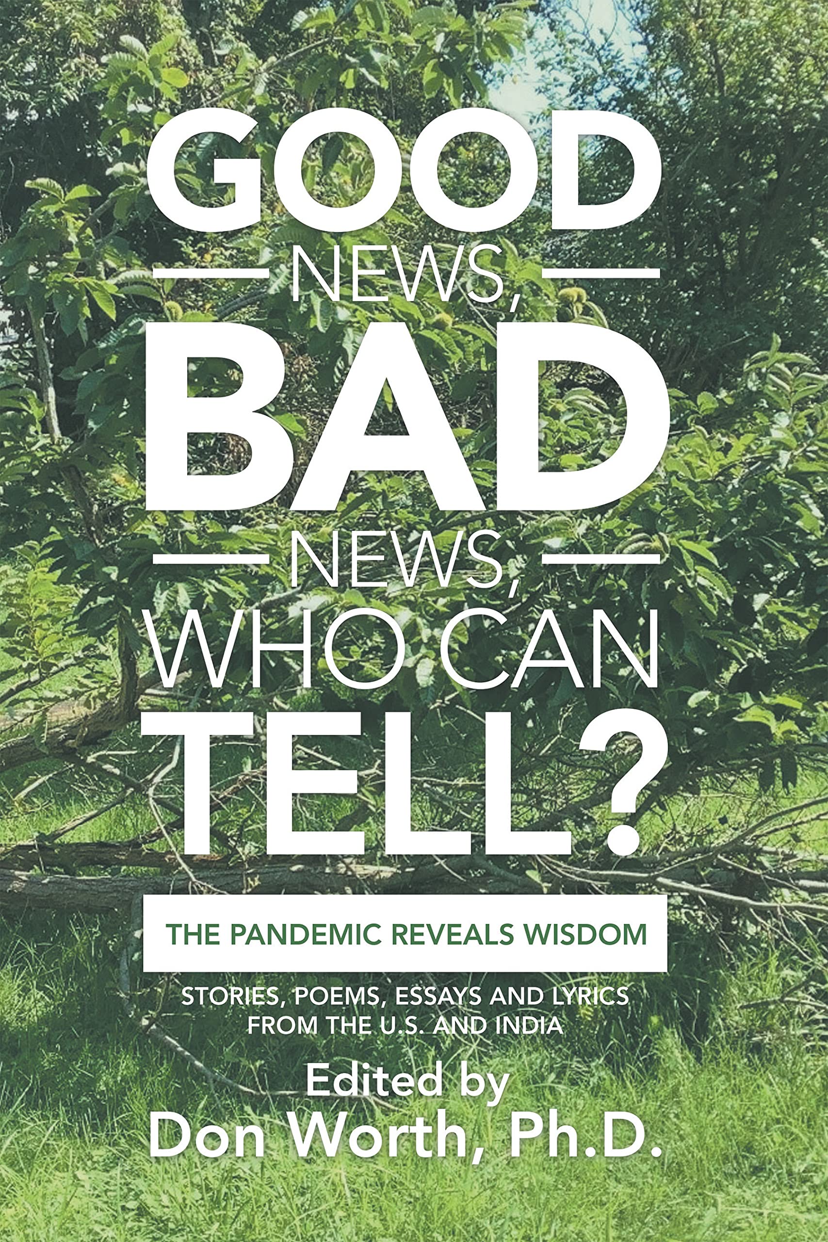 Good News, Bad News, Who Can Tell?: The Pandemic Reveals Wisdom by Don ...