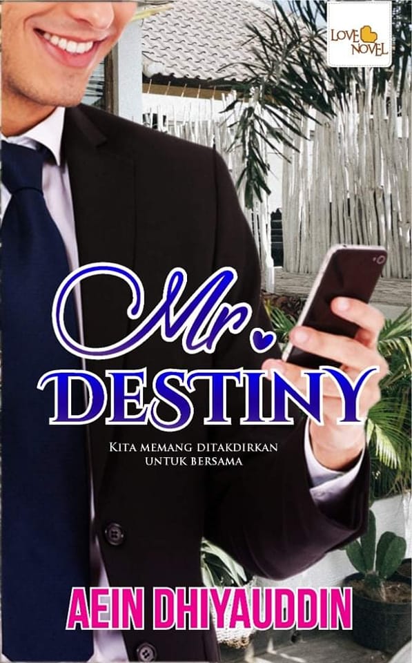 Mr. Destiny by Aein Dhiyauddin | Goodreads