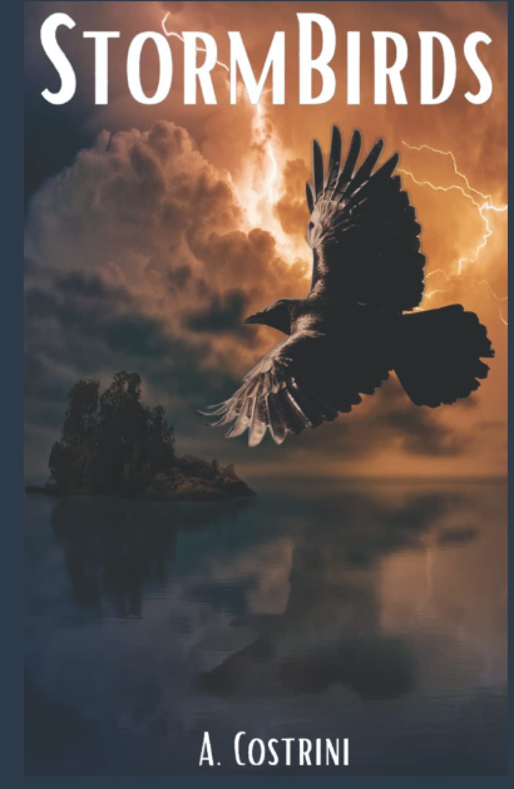 Storm Birds by A Costrini | Goodreads