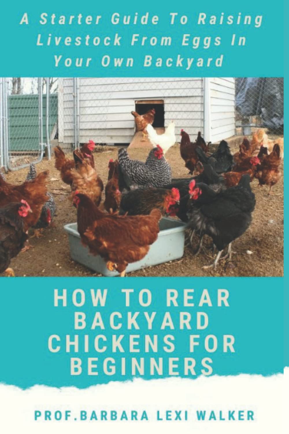 HOW TO RARE A BACKYARD CHICKEN FOR BEGINNERS: A Starter Guide To ...