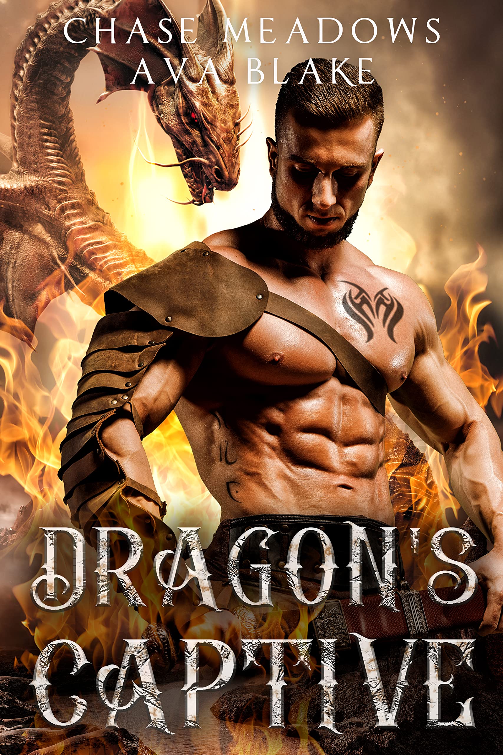 Dragon's Captive: A Time Slip Shifter Romance by Ava Blake | Goodreads