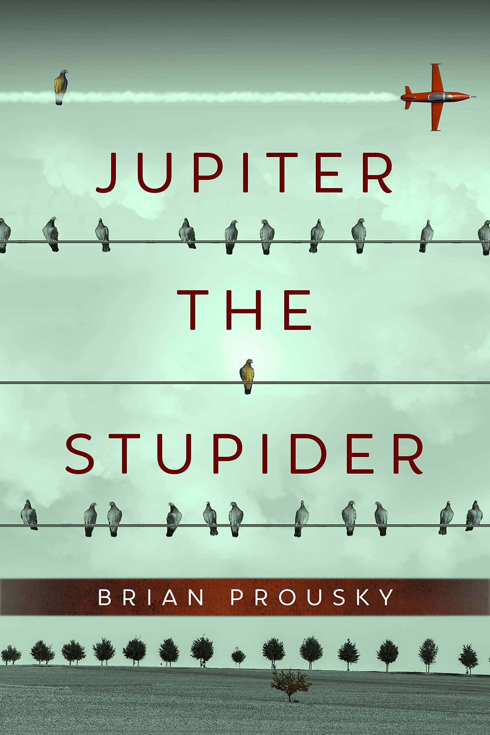 Jupiter The Stupider by Brian Prousky | Goodreads