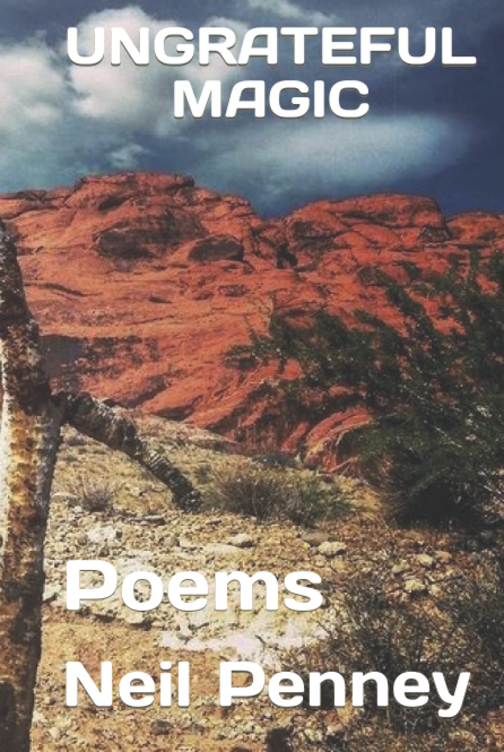 Ungrateful Magic: Poems by Neil Penney | Goodreads