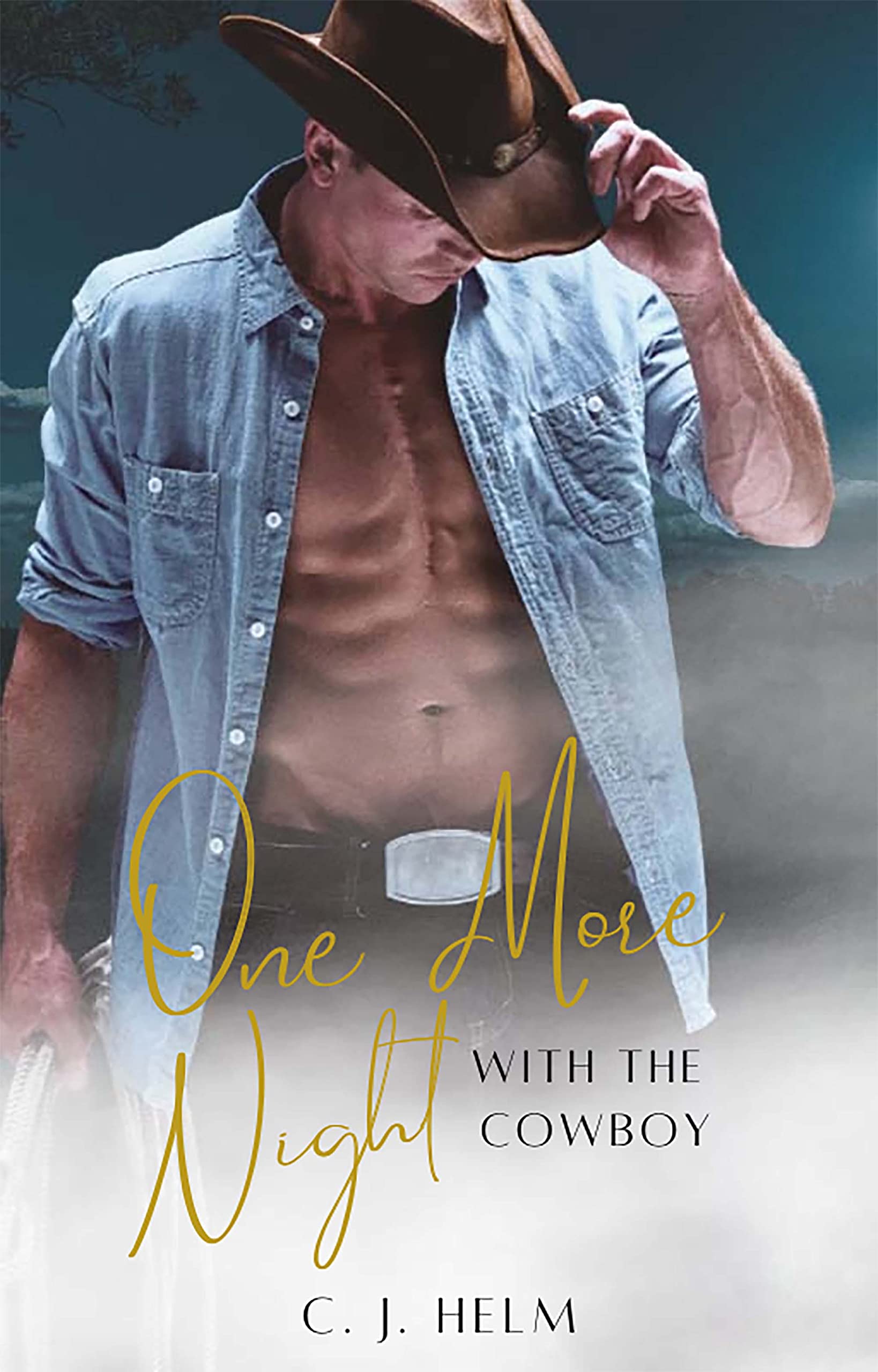 One More Night with the Cowboy: Book Two: A Grizzly Mountain Romance by ...